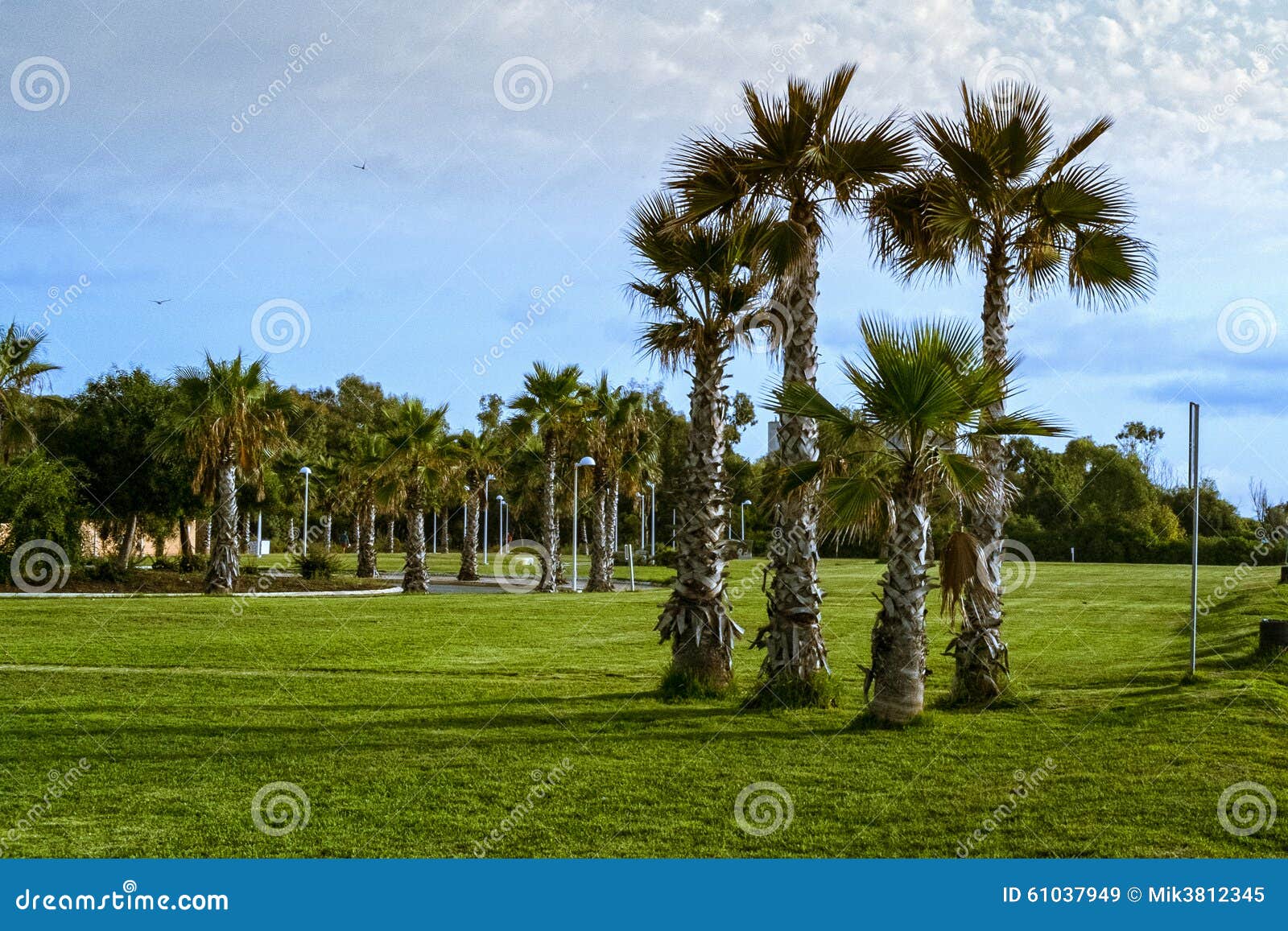 Gateway to the beach stock image. Image of sand, ocean - 61037949