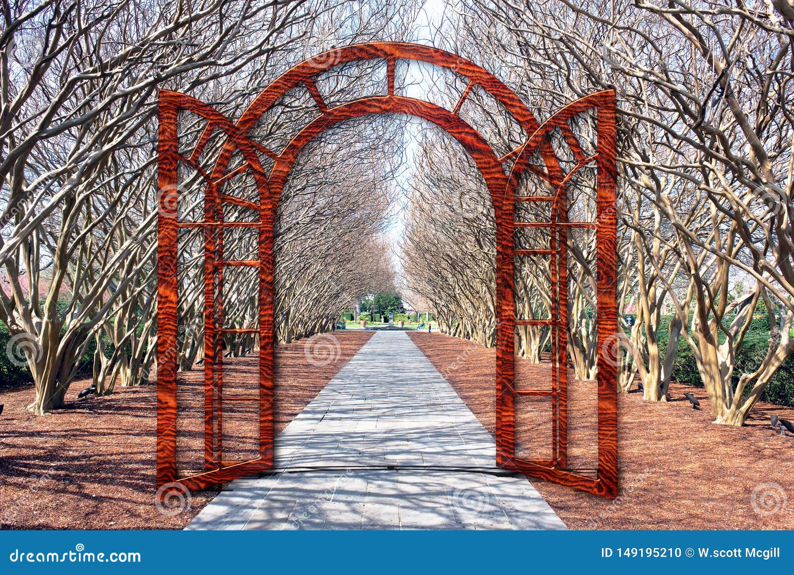 Gateway through Trees stock photo. Image of gardening - 149195210