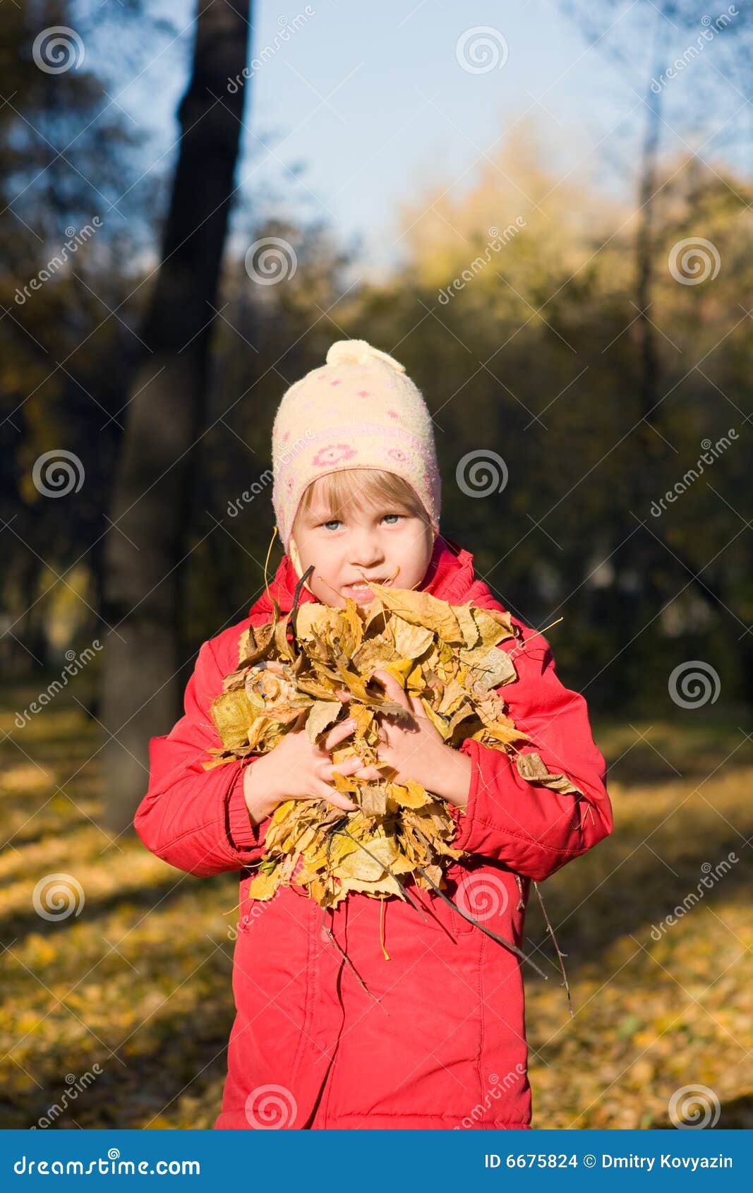 Gathering of autumn leaves stock photo. Image of tree - 6675824
