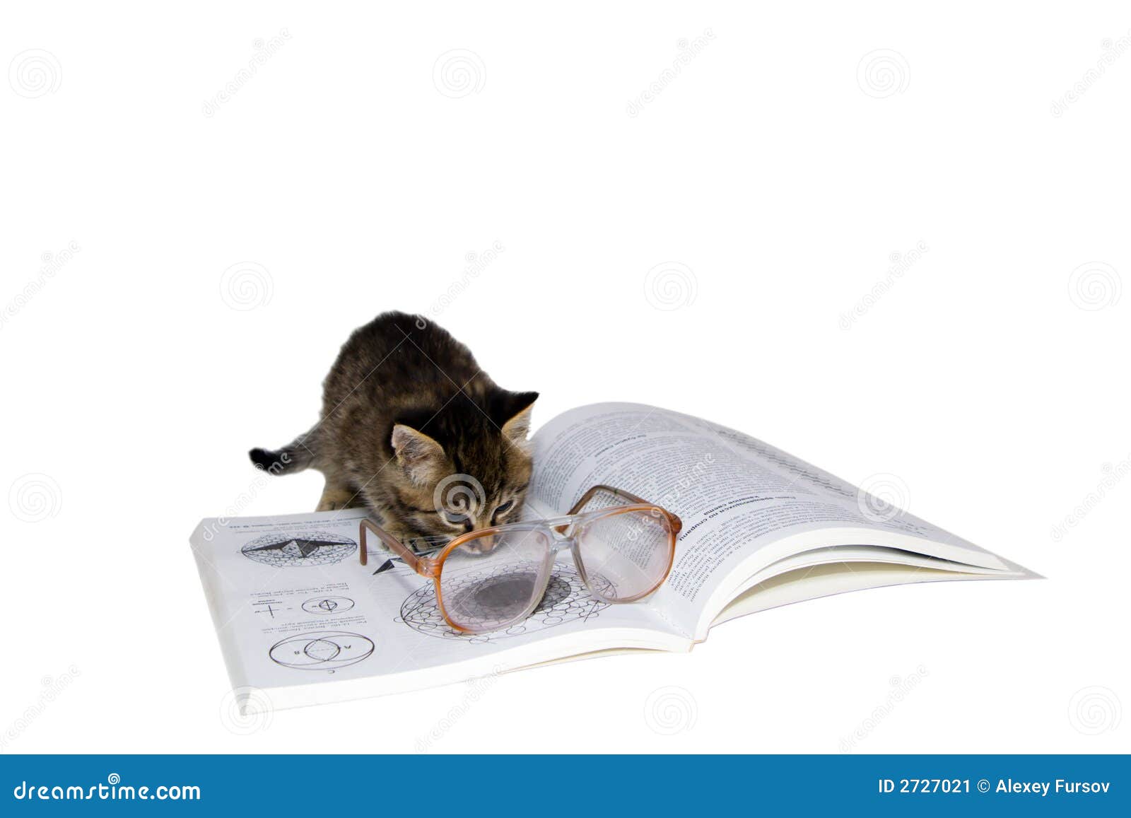 Gatito con el libro imagen de archivo. Imagen de aislado - 2727021