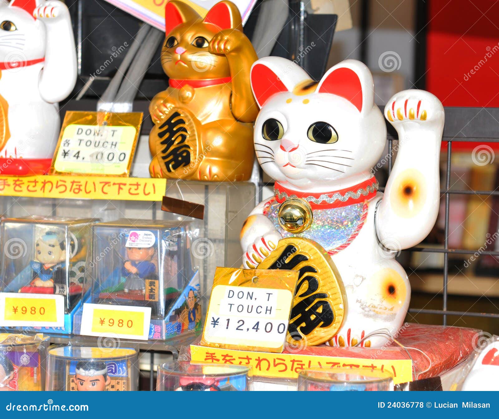 Gato afortunado foto de archivo editorial. Imagen de detalle - 24036778