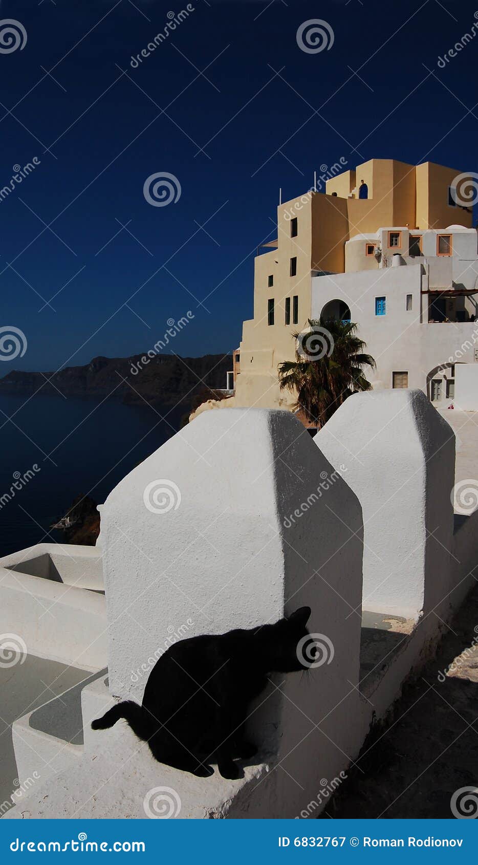 Gato astuto imagen de archivo. Imagen de gato, negro, maravilloso - 6832767