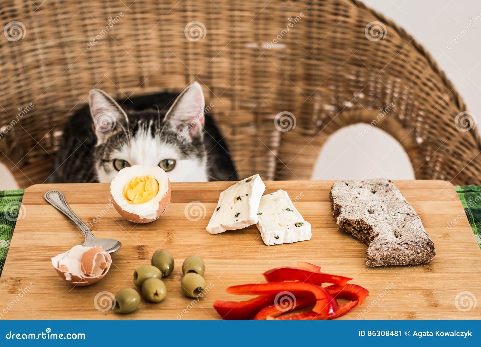 Gato Astuto Que Roba El Desayuno Imagen de archivo - Imagen de animal ...