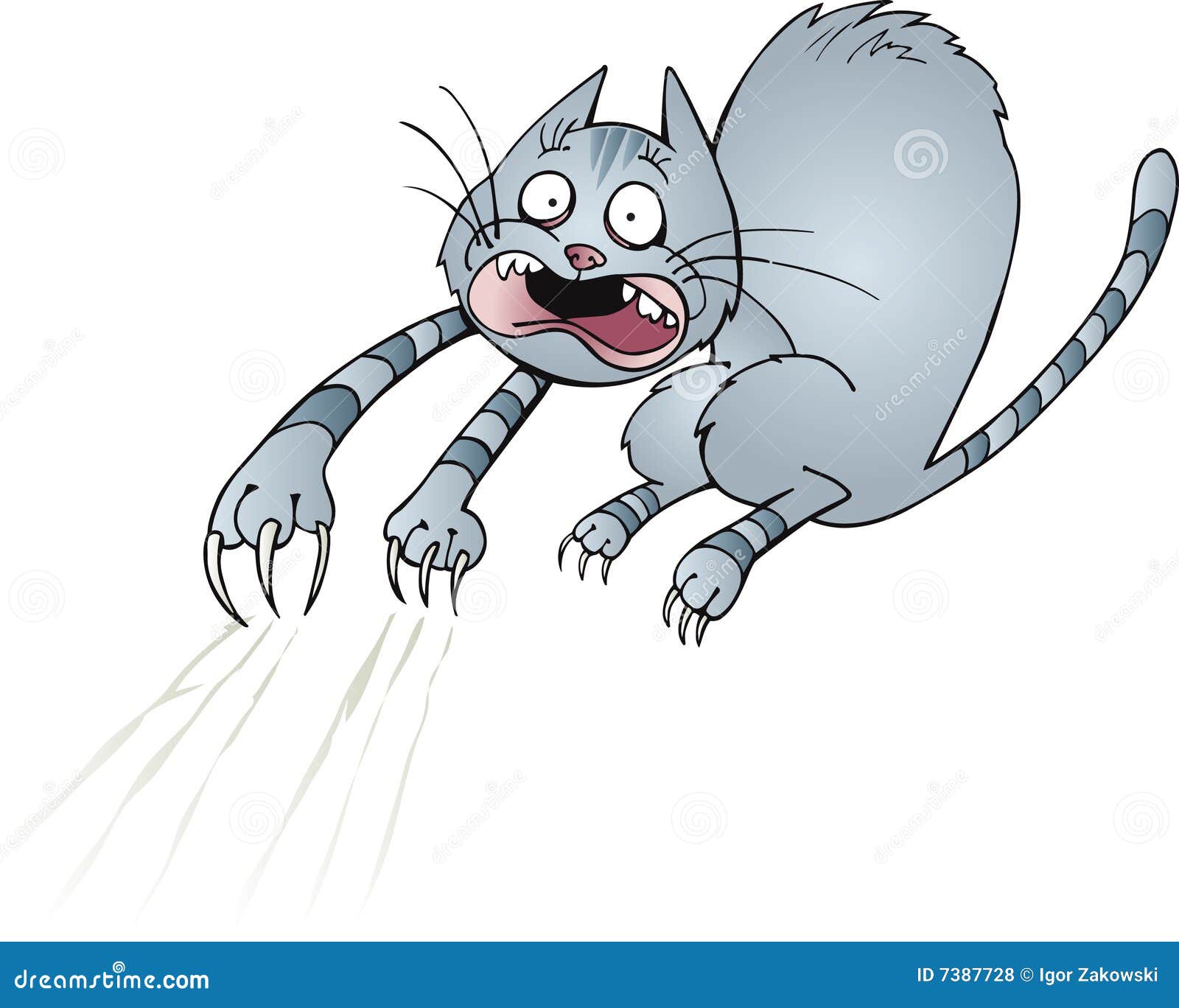 Gato Asustado Dibujo