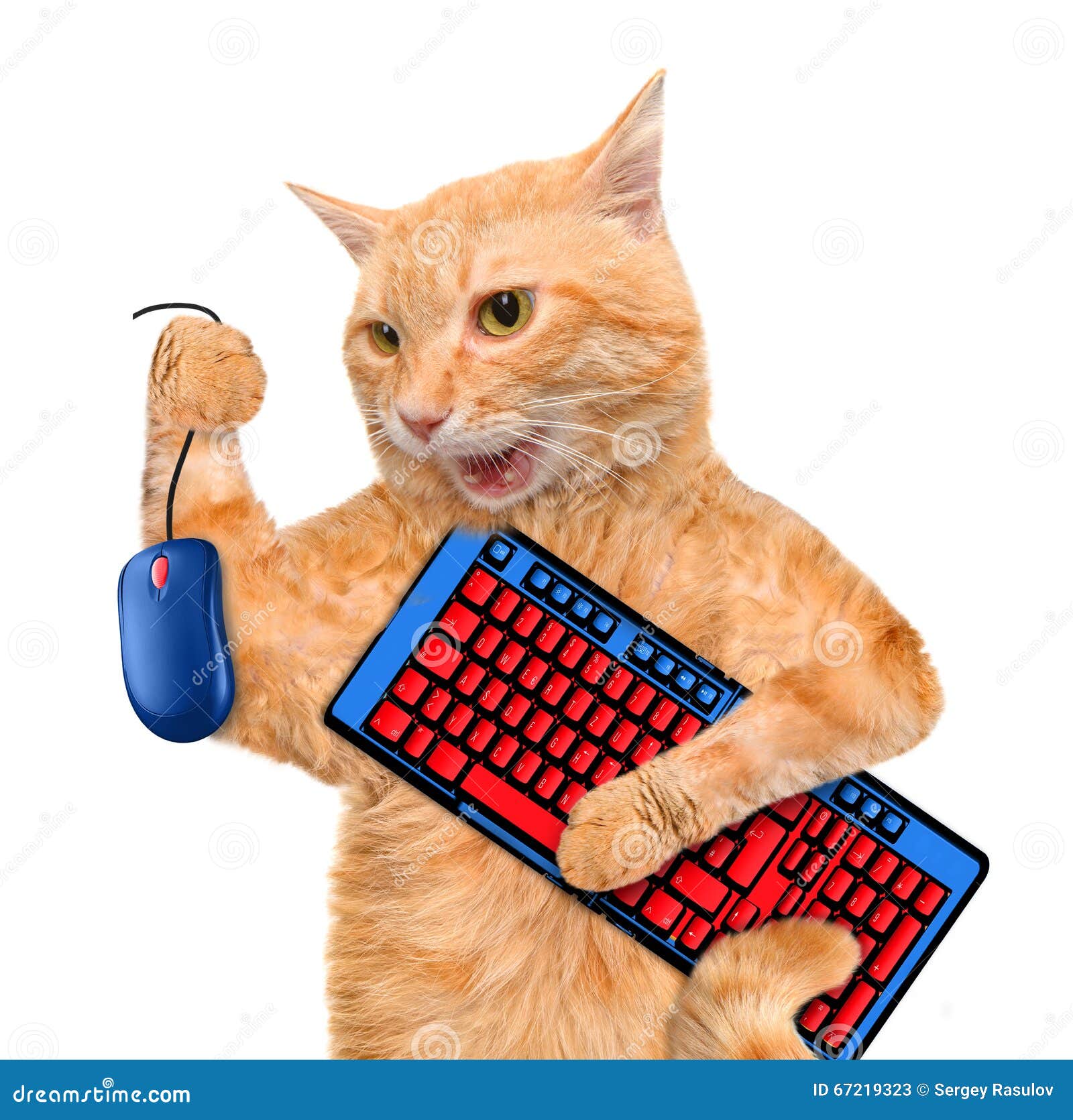 Gato Com Rato E Teclado Do Computador Imagem de Stock - Imagem de ...