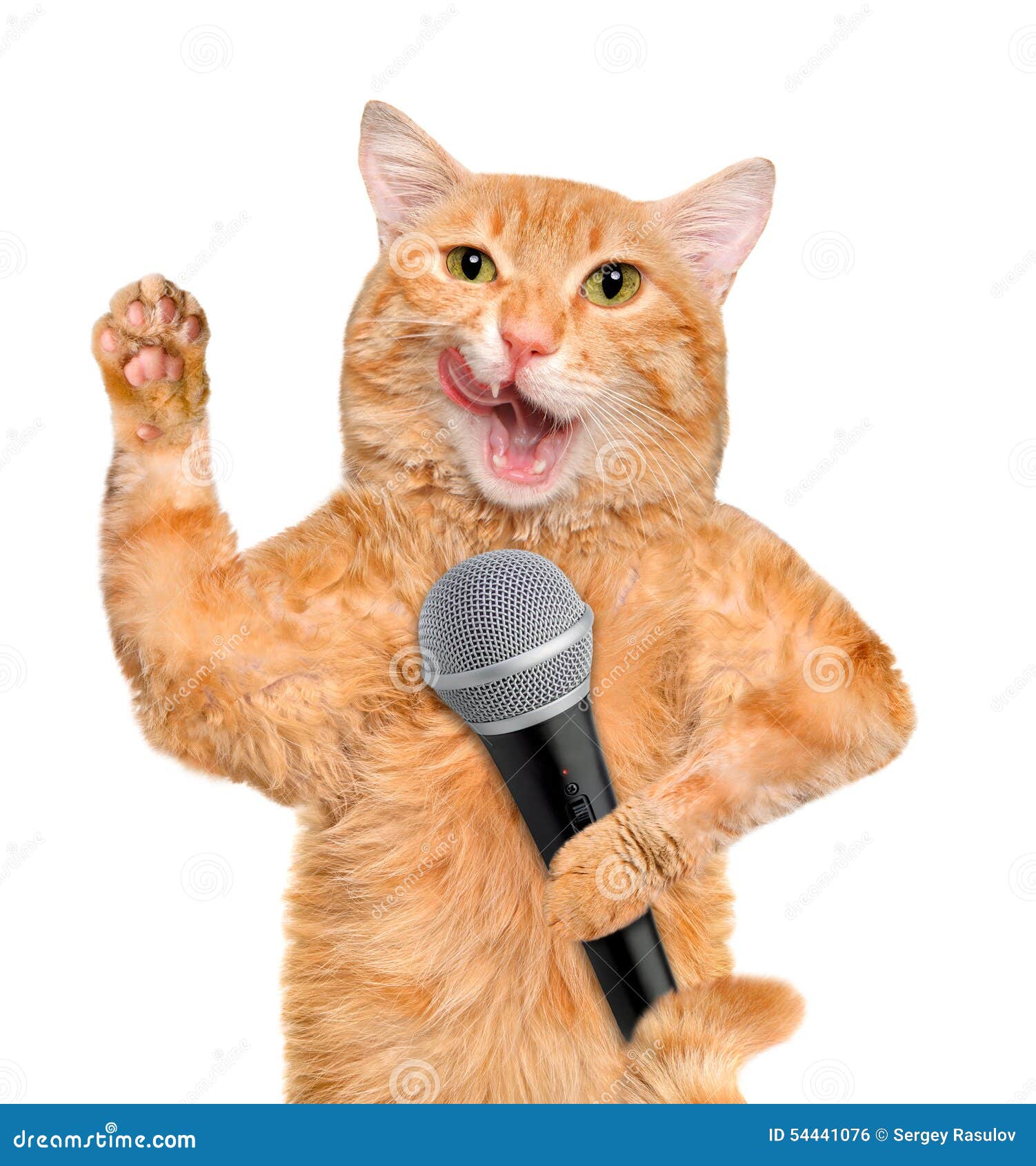 Gato com um microfone foto de stock. Imagem de discurso - 54441076