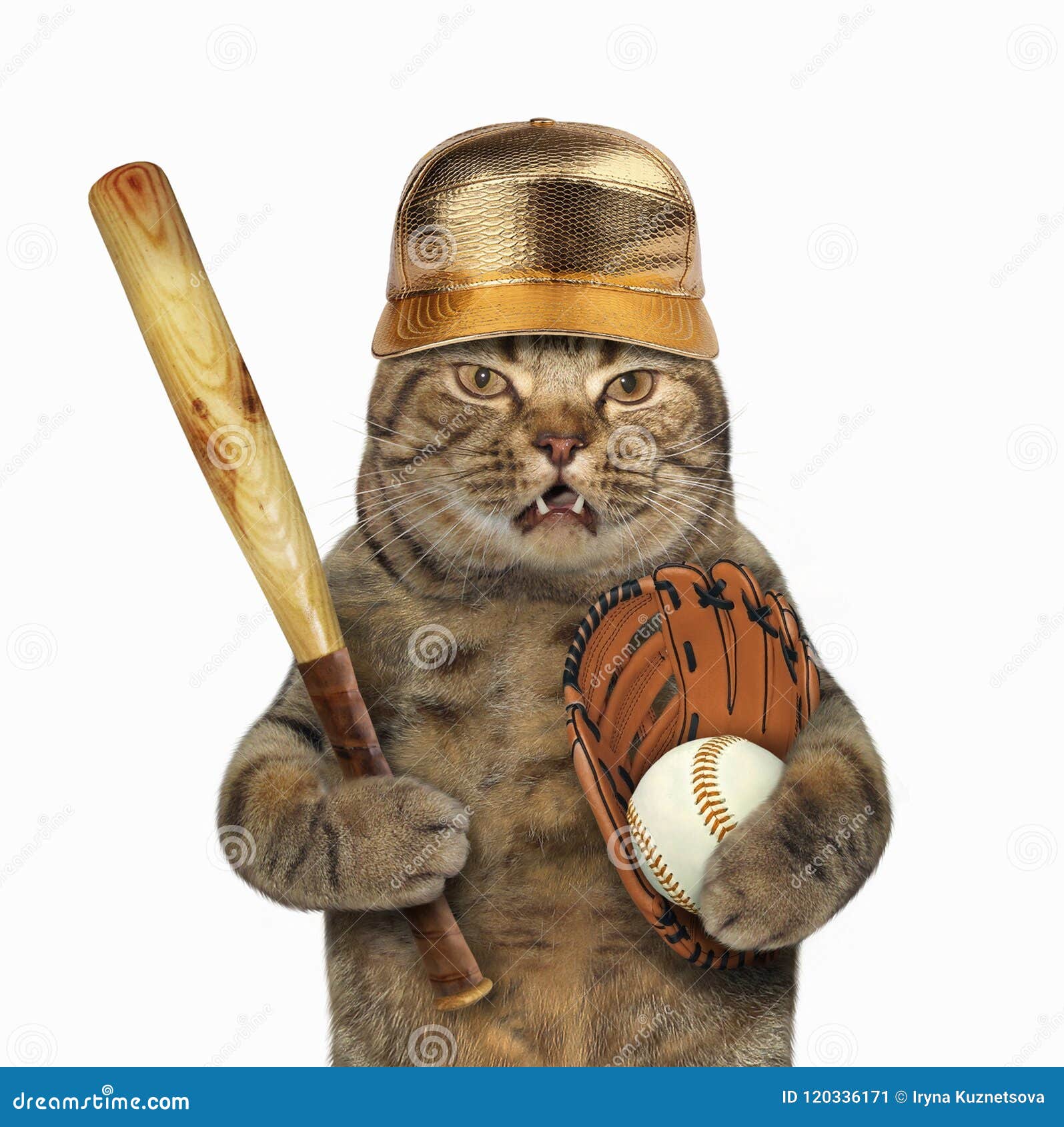 Gato Con El Bate De Béisbol Imagen de archivo - Imagen de guante ...