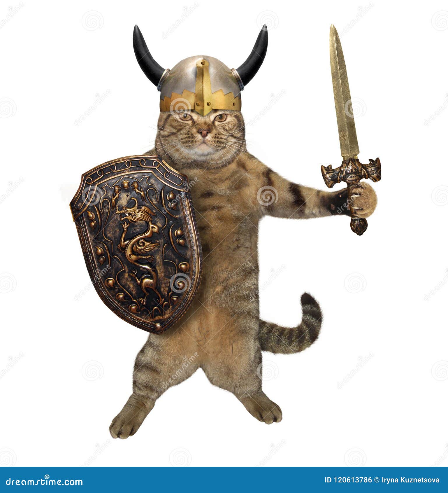 Gato Con La Espada Y El Escudo Foto de archivo - Imagen de mascota ...