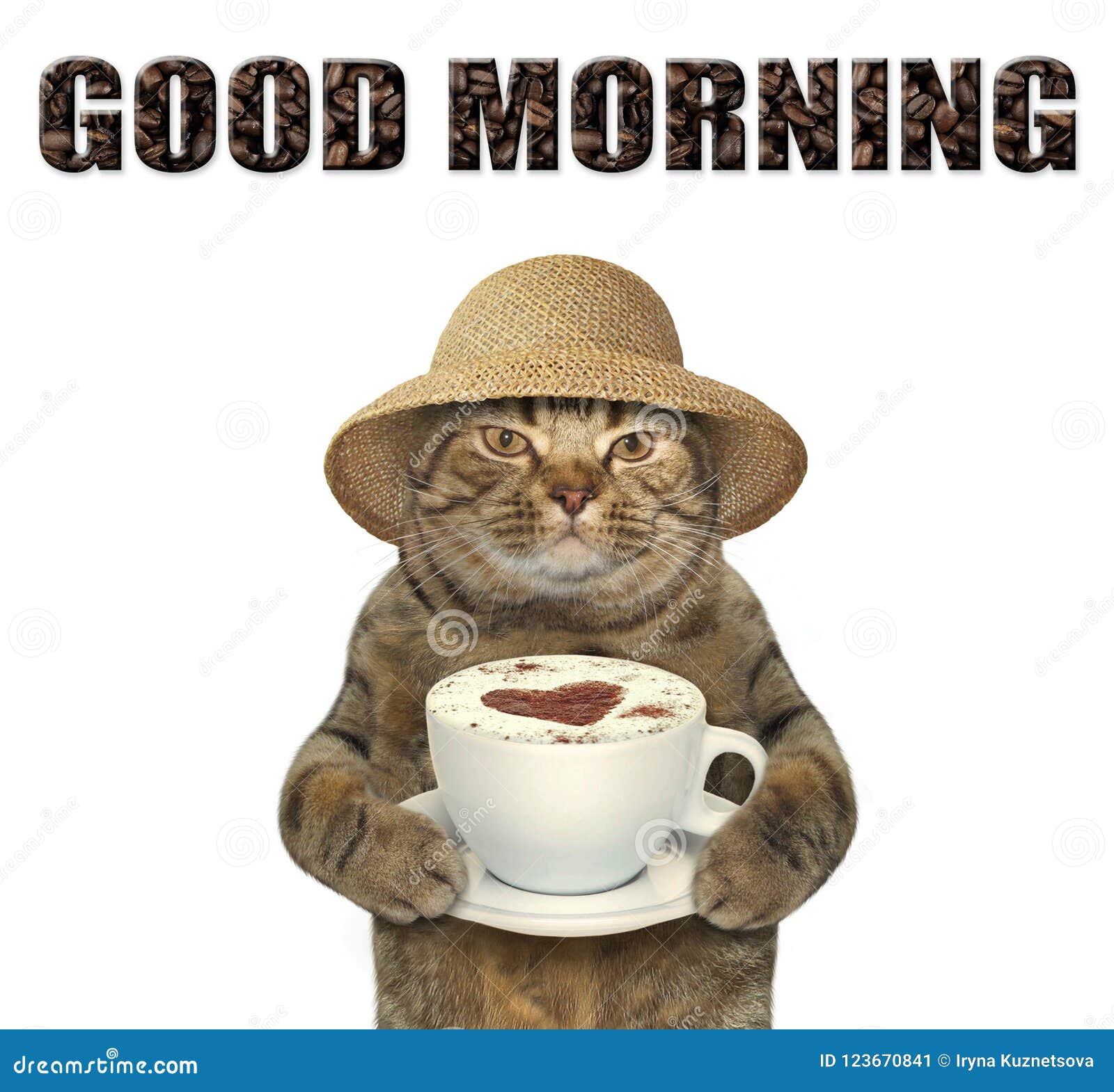 Gato con la taza de café imagen de archivo. Imagen de platos - 123670841