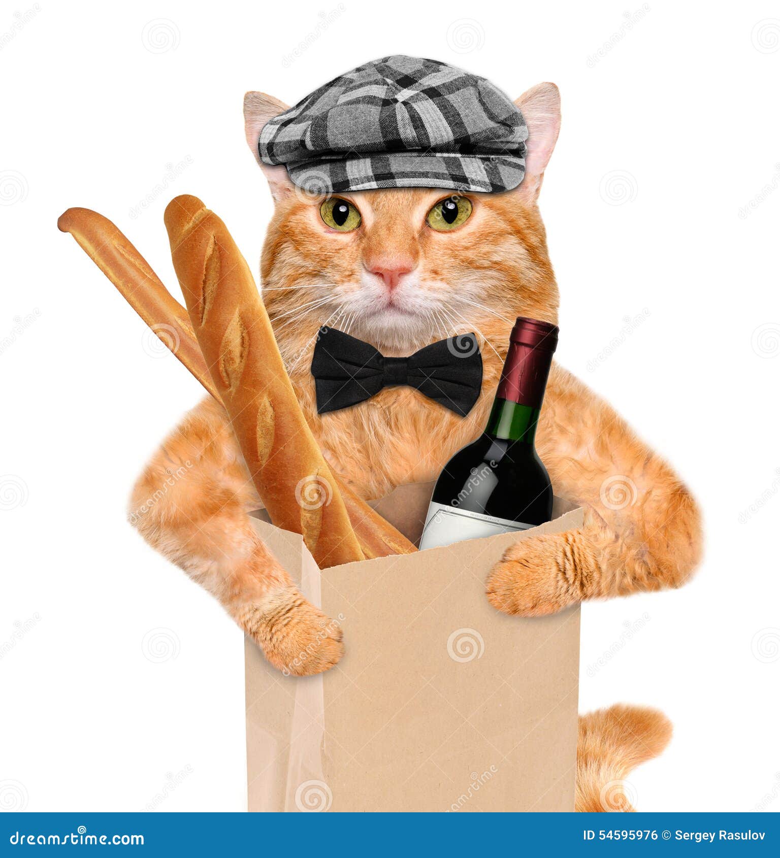 Gato Con Una Botella De Vino Y De Pan Foto de archivo - Imagen de fondo ...
