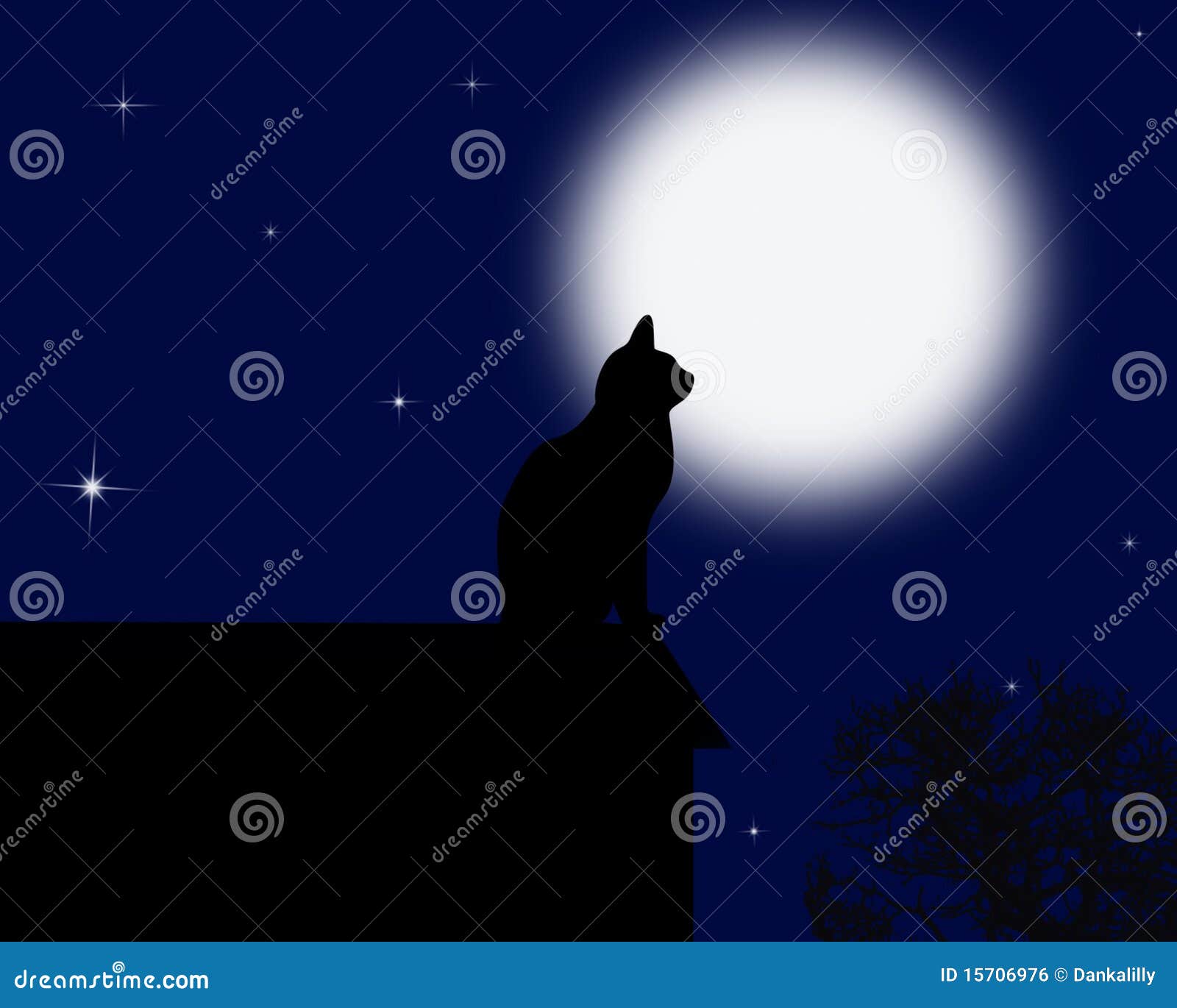 Gato da lua foto de stock. Imagem de perfil, gato, forma - 15706976