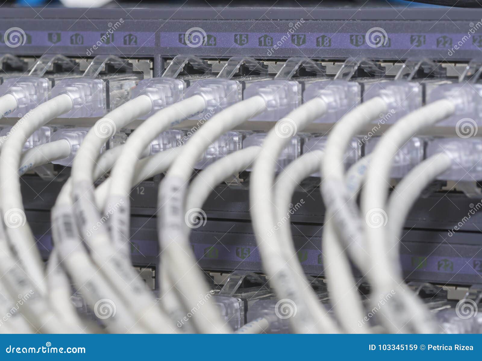 Gato 5 De UTP - Interruptor Del Conector De Cables RJ45 Imagen de ...