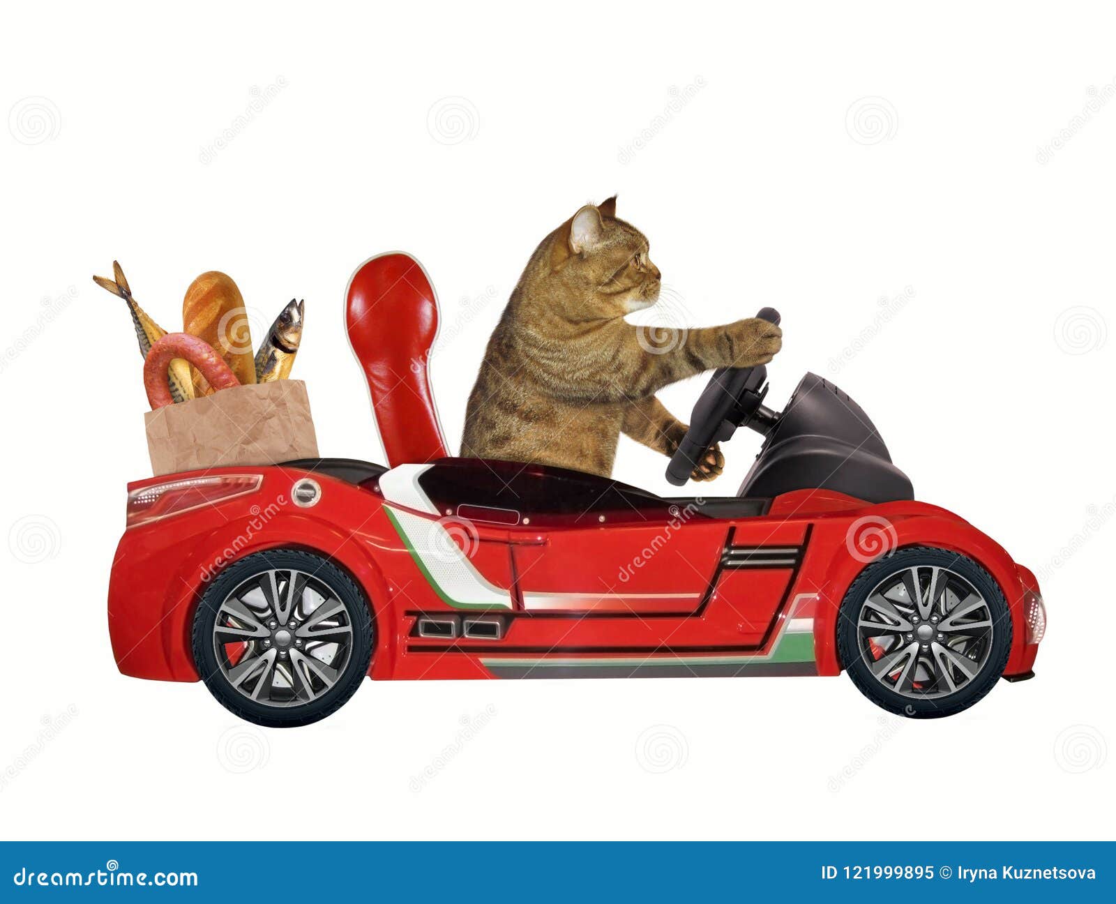 Gato Em Um Carro Vermelho 1 Imagem de Stock - Imagem de transporte ...