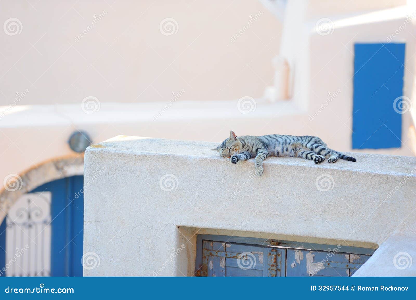 Gato Em Uma Ilha Grega Santorini Foto de Stock - Imagem de canto ...