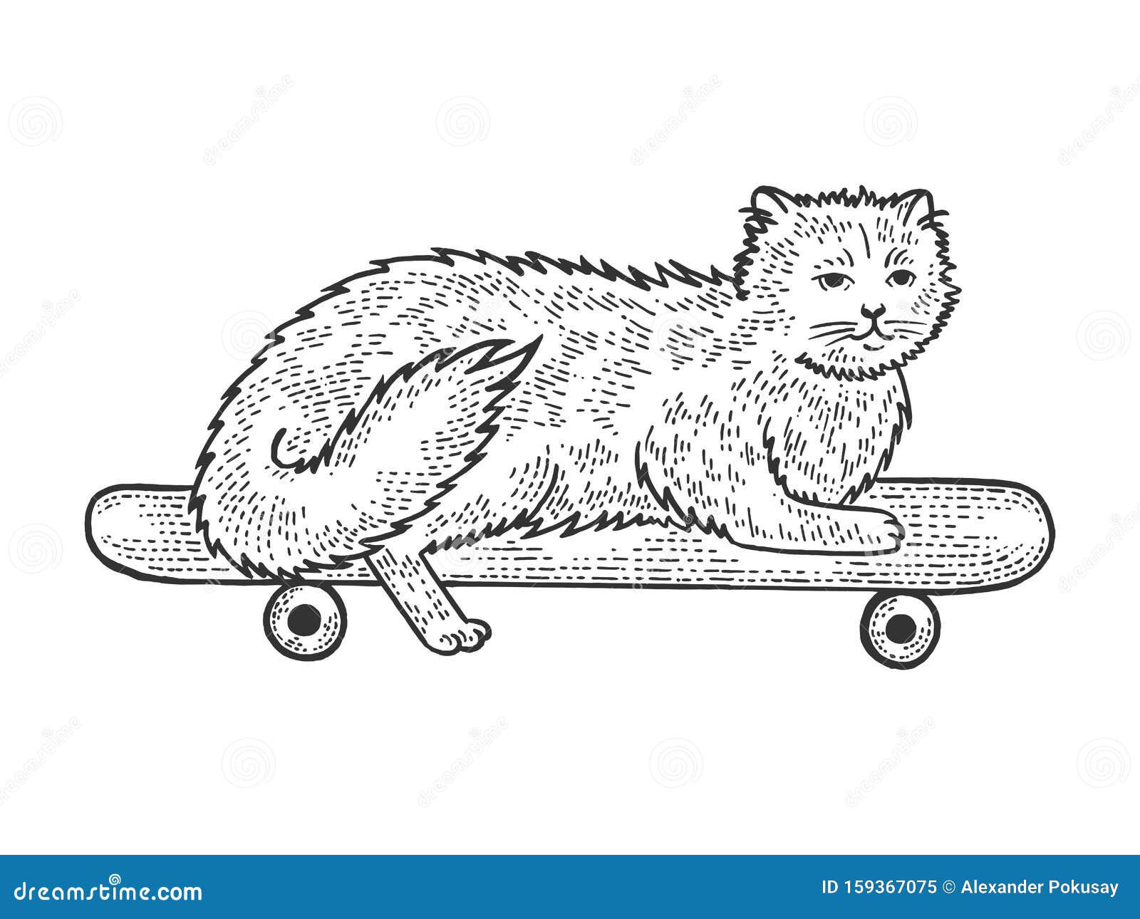 Gato En Skateboard Bocear Vector Ilustración del Vector - Ilustración ...