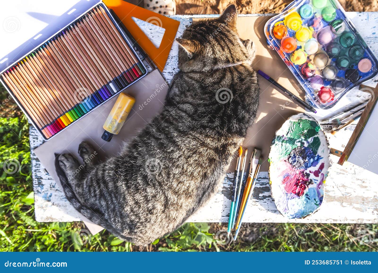 Gato Flojo Tendido Sobre La Mesa Con Material Escolar Imagen de archivo ...