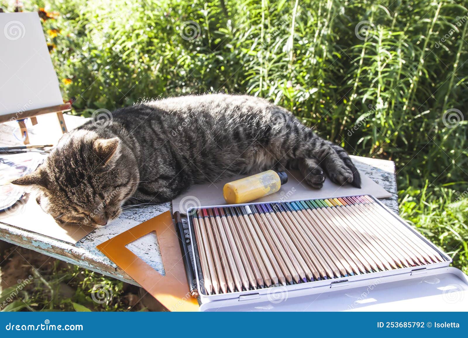 Gato Flojo Tendido Sobre La Mesa Con Material Escolar Foto de archivo ...