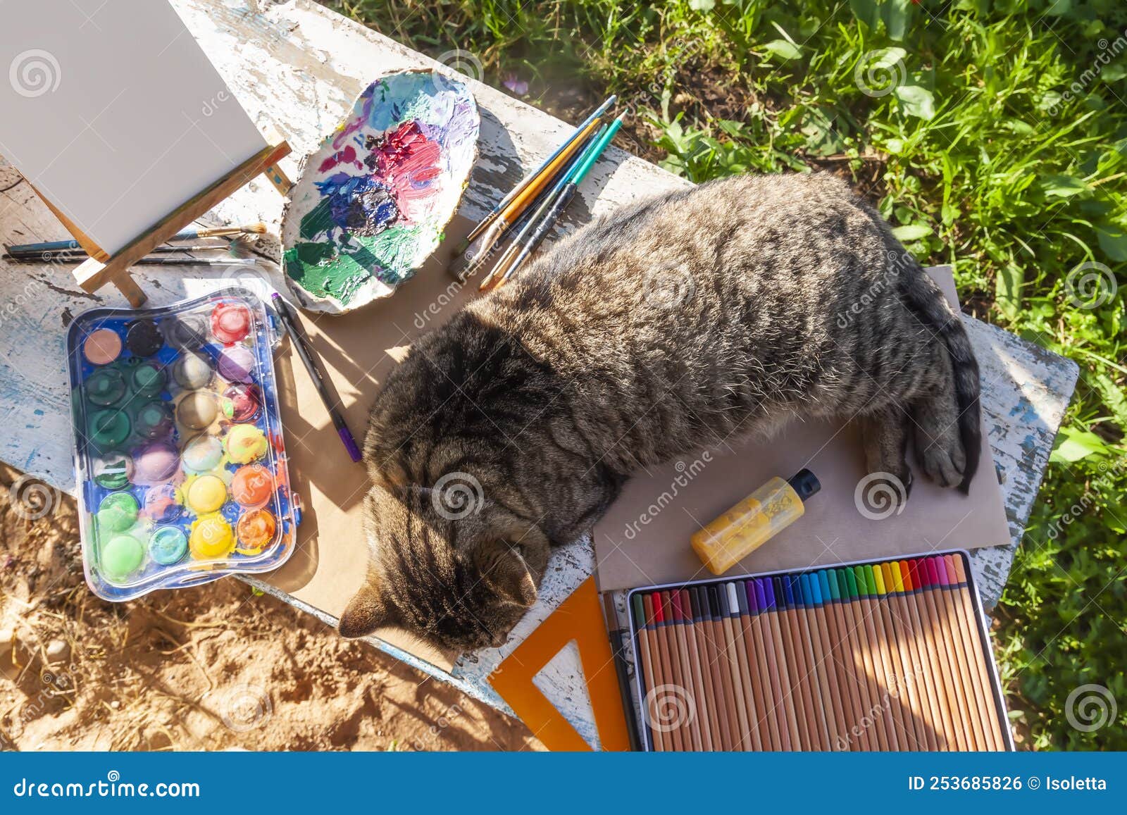 Gato Flojo Tendido Sobre La Mesa Con Material Escolar Foto de archivo ...