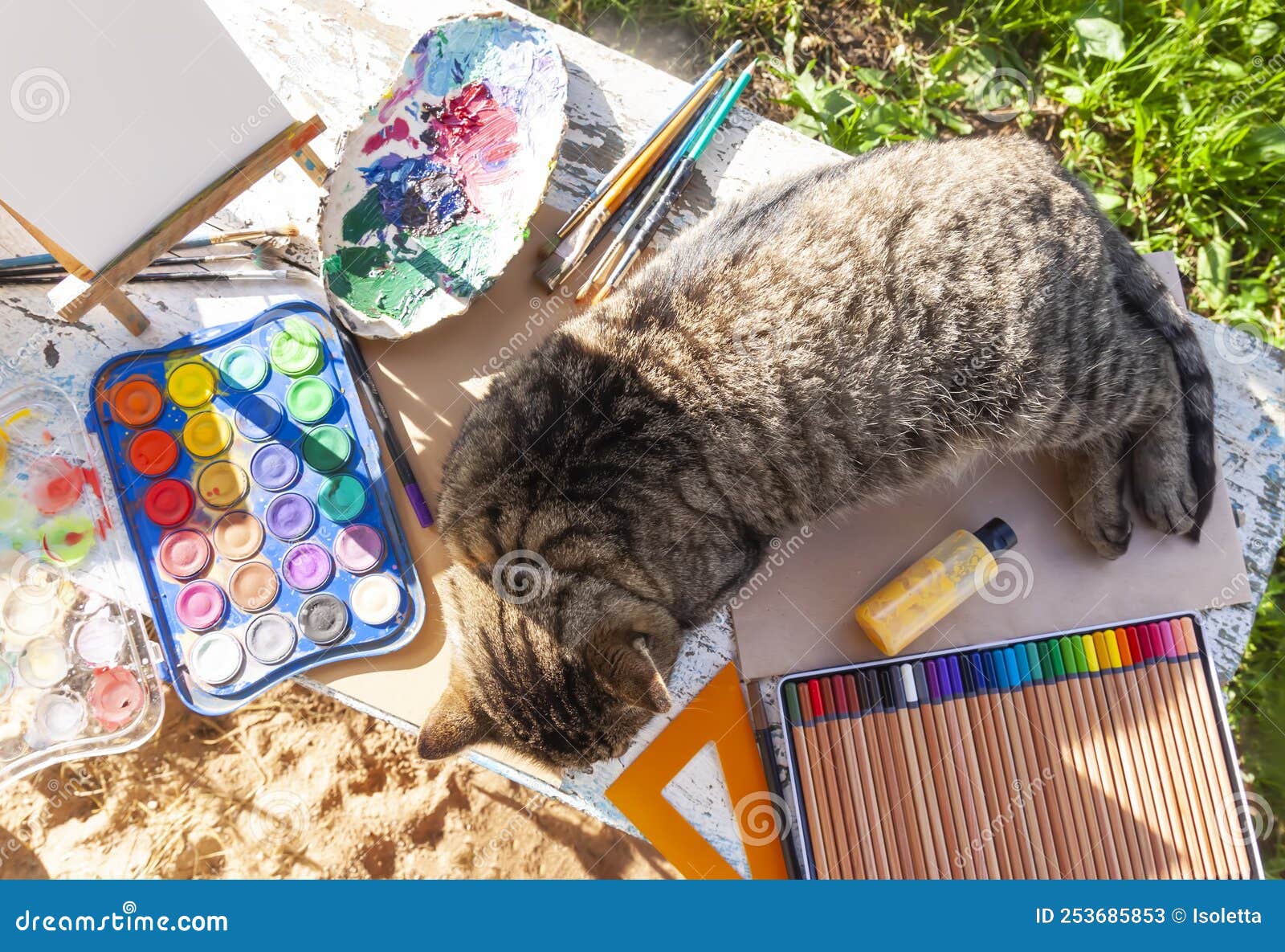 Gato Flojo Tendido Sobre La Mesa Con Material Escolar Imagen de archivo ...