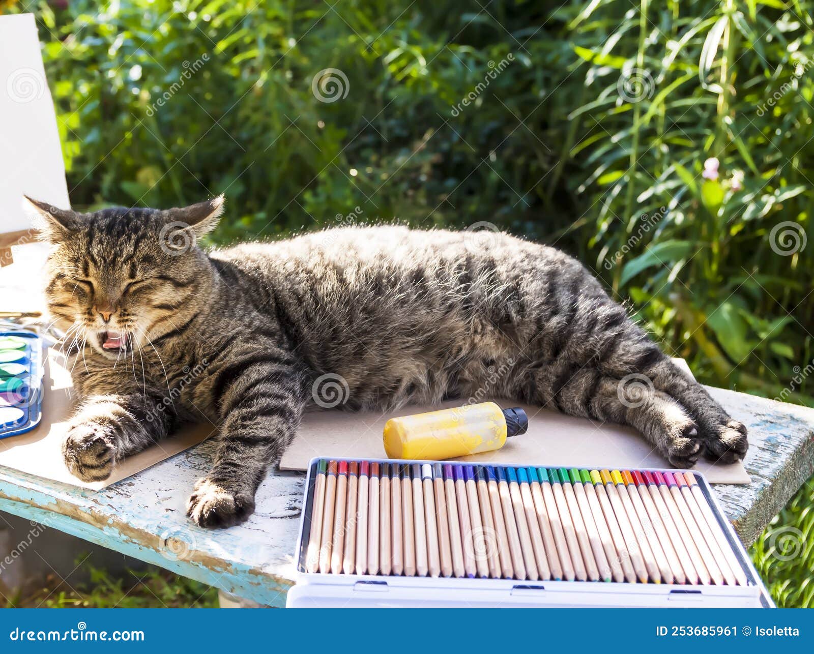Gato Flojo Tendido Sobre La Mesa Con Material Escolar Imagen de archivo ...