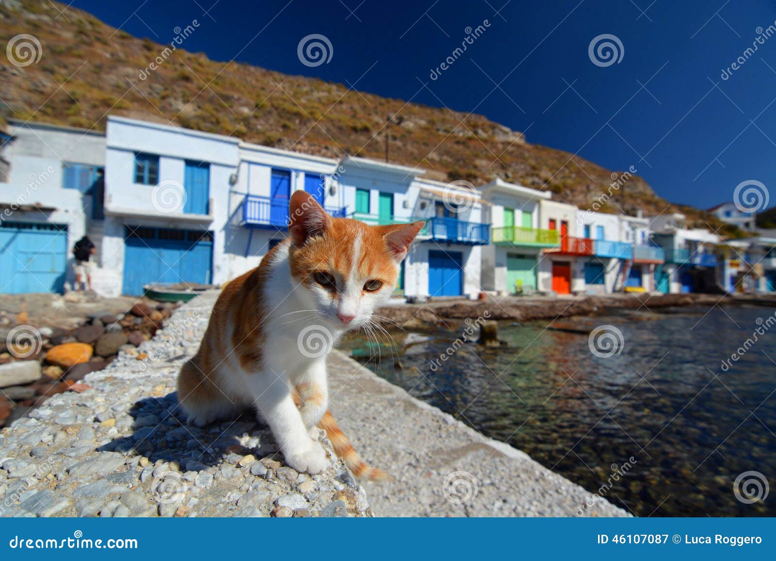 Gato Grego Klima, Milos Ilhas De Cyclades Greece Imagem de Stock ...