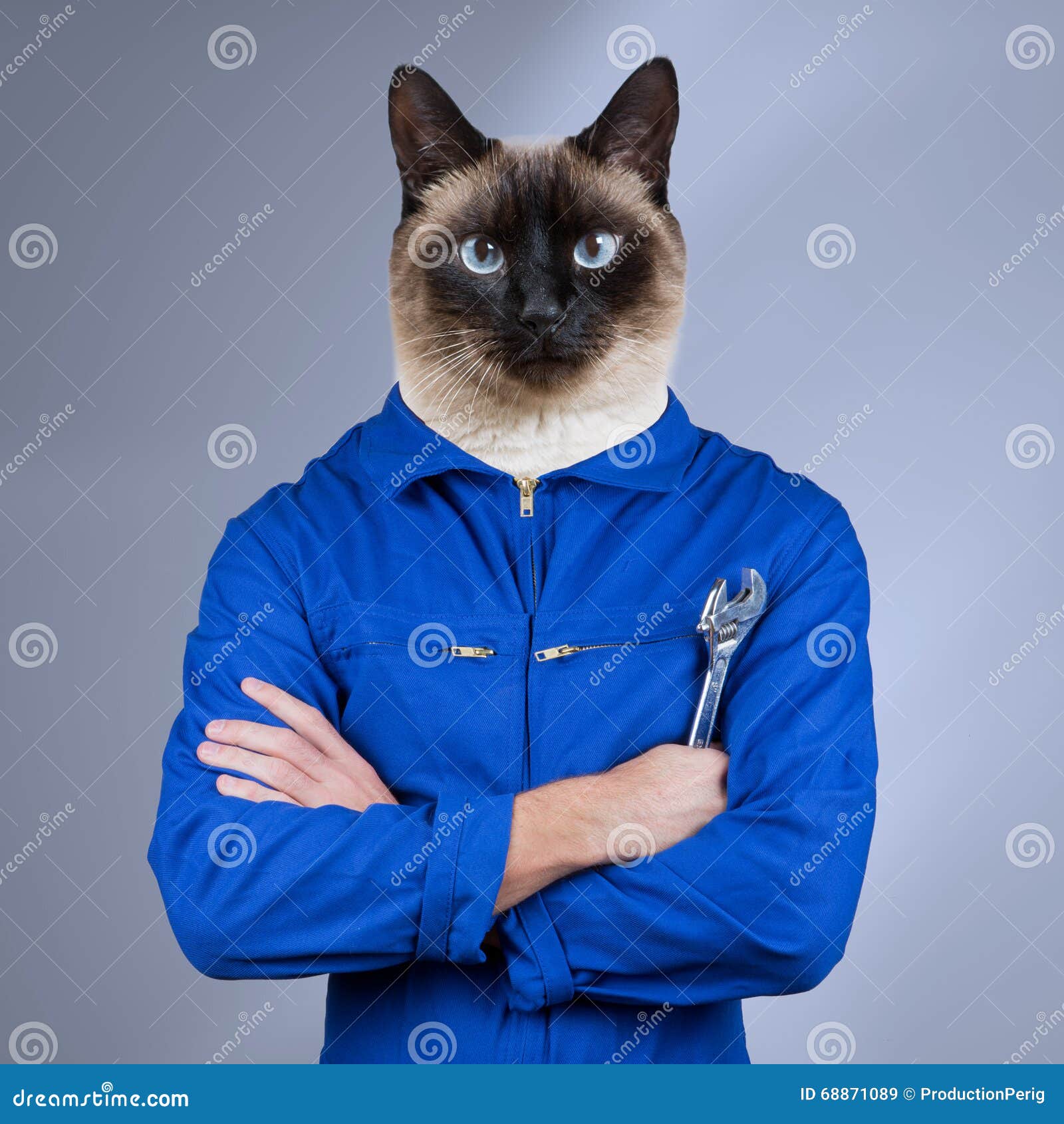 Gato Humano Vestido Como Mecânicos Imagem de Stock - Imagem de povos ...