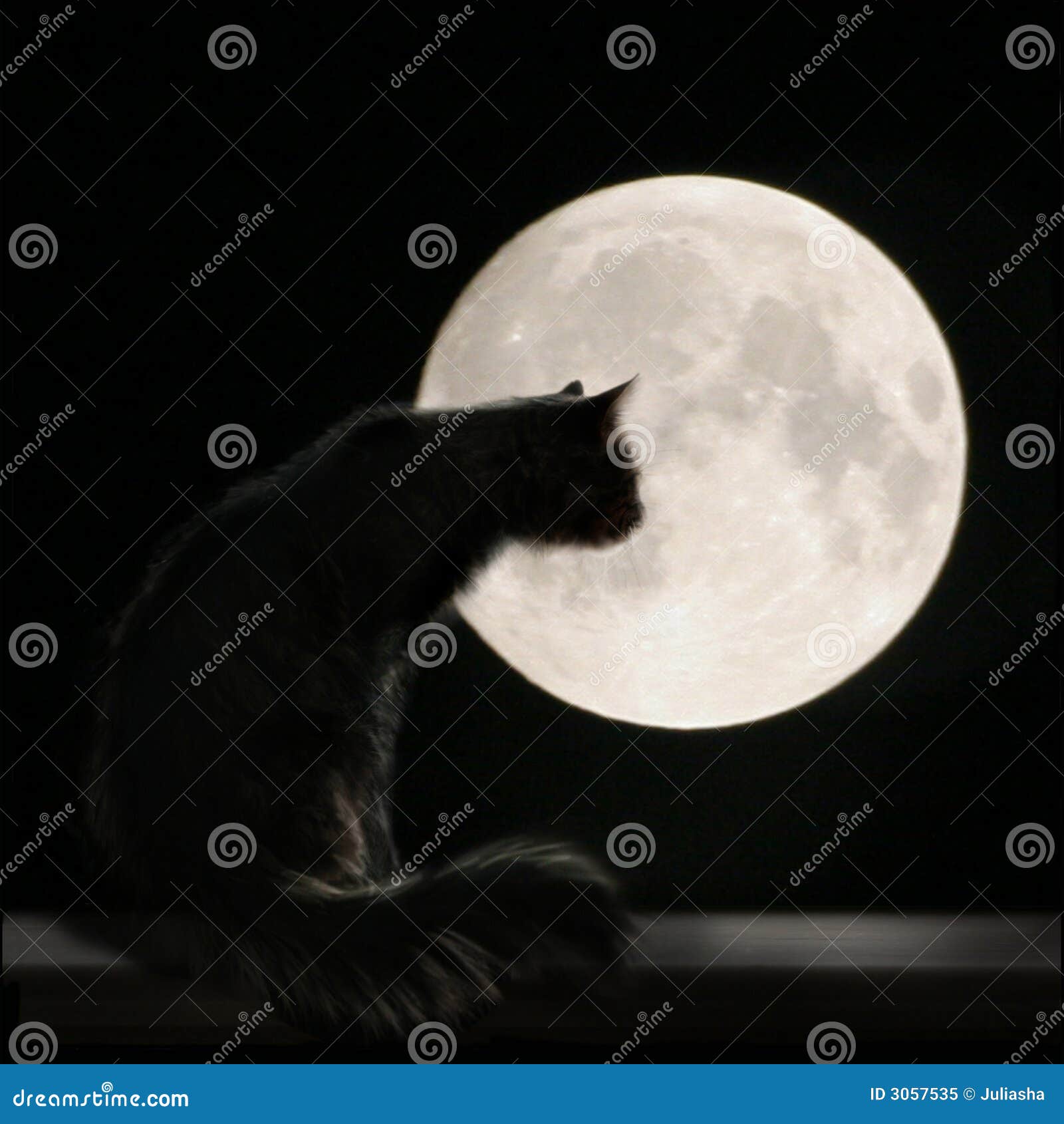 Gato na lua imagem de stock. Imagem de arte, animais, branco - 3057535