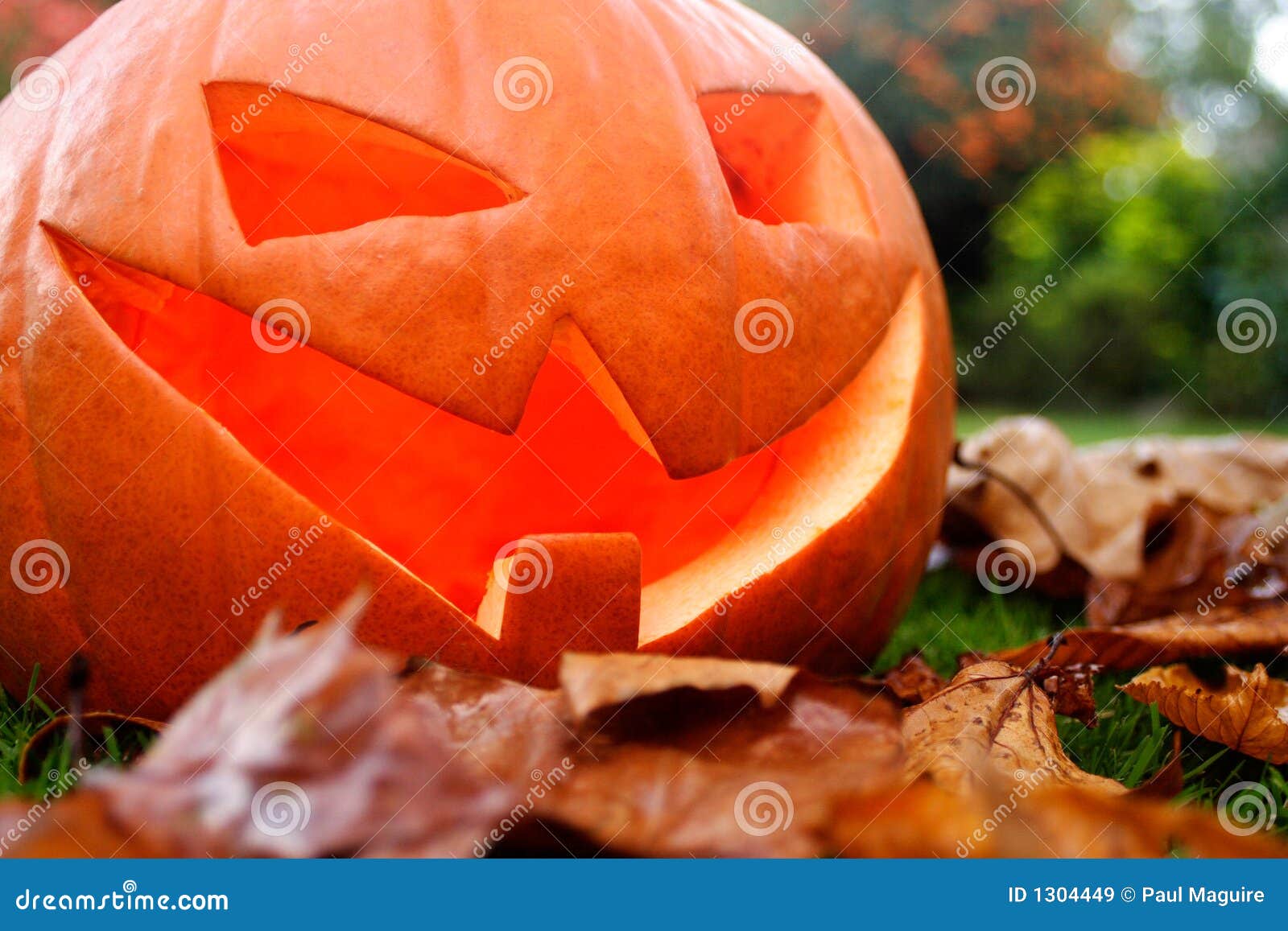 Gato-o-linterna imagen de archivo. Imagen de calabaza - 1304449