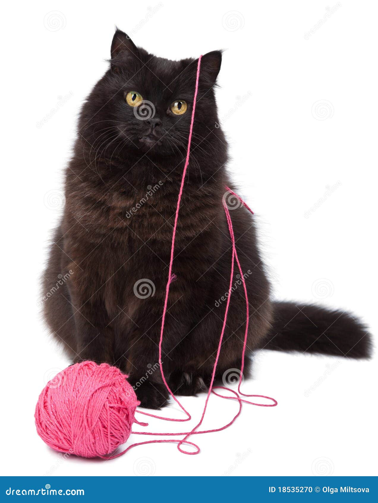 Gato Que Juega Con El Ovillo Aislado Foto de archivo - Imagen de ...