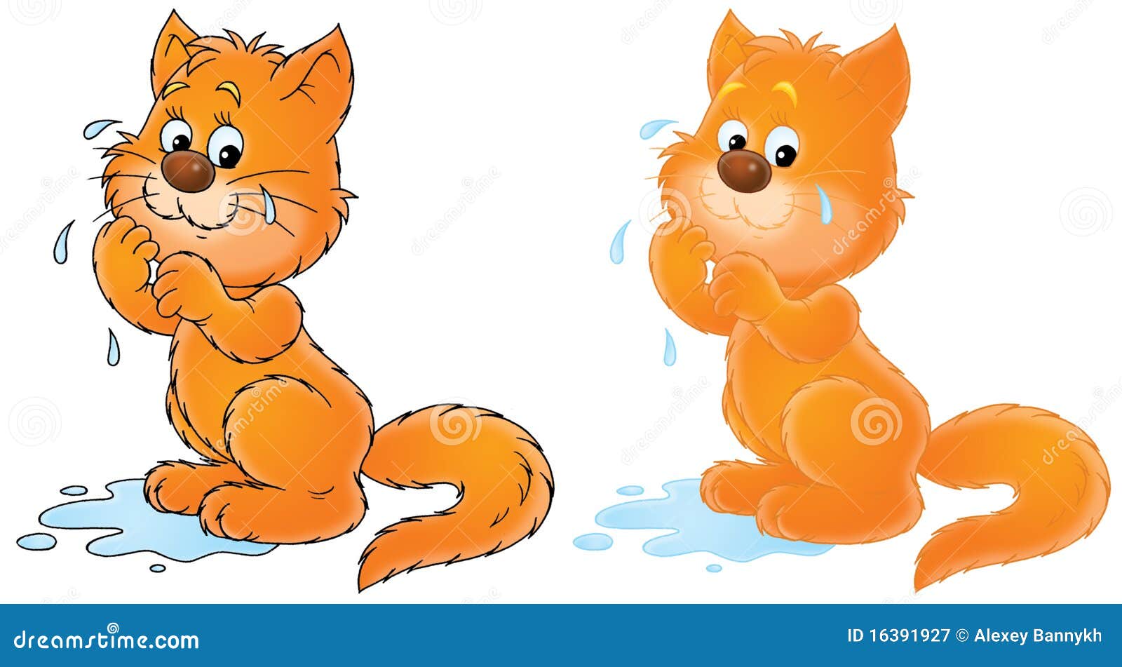 Gato que llora stock de ilustración. Ilustración de animal - 16391927