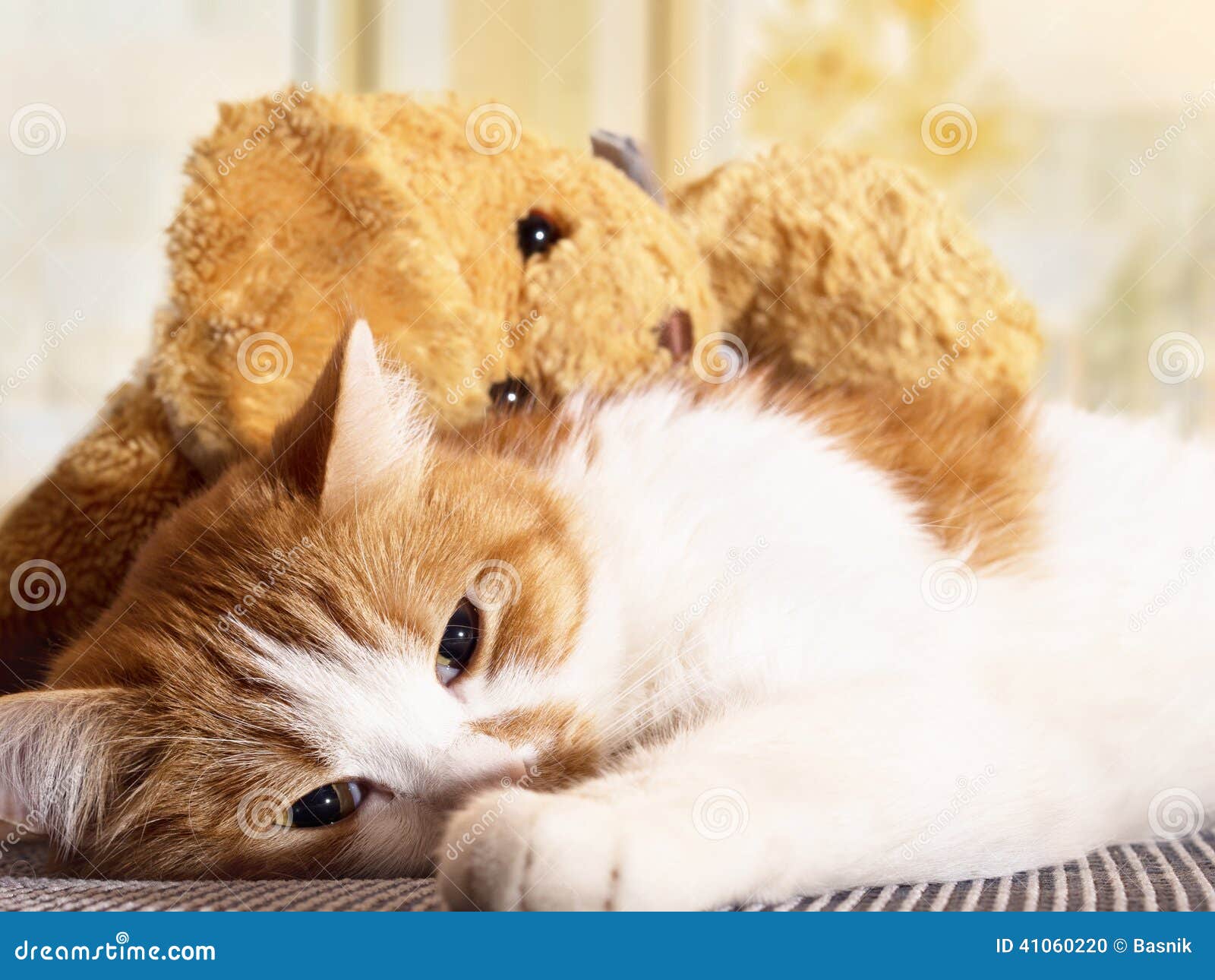Gato triste foto de archivo. Imagen de piel, gatito, faltante - 41060220