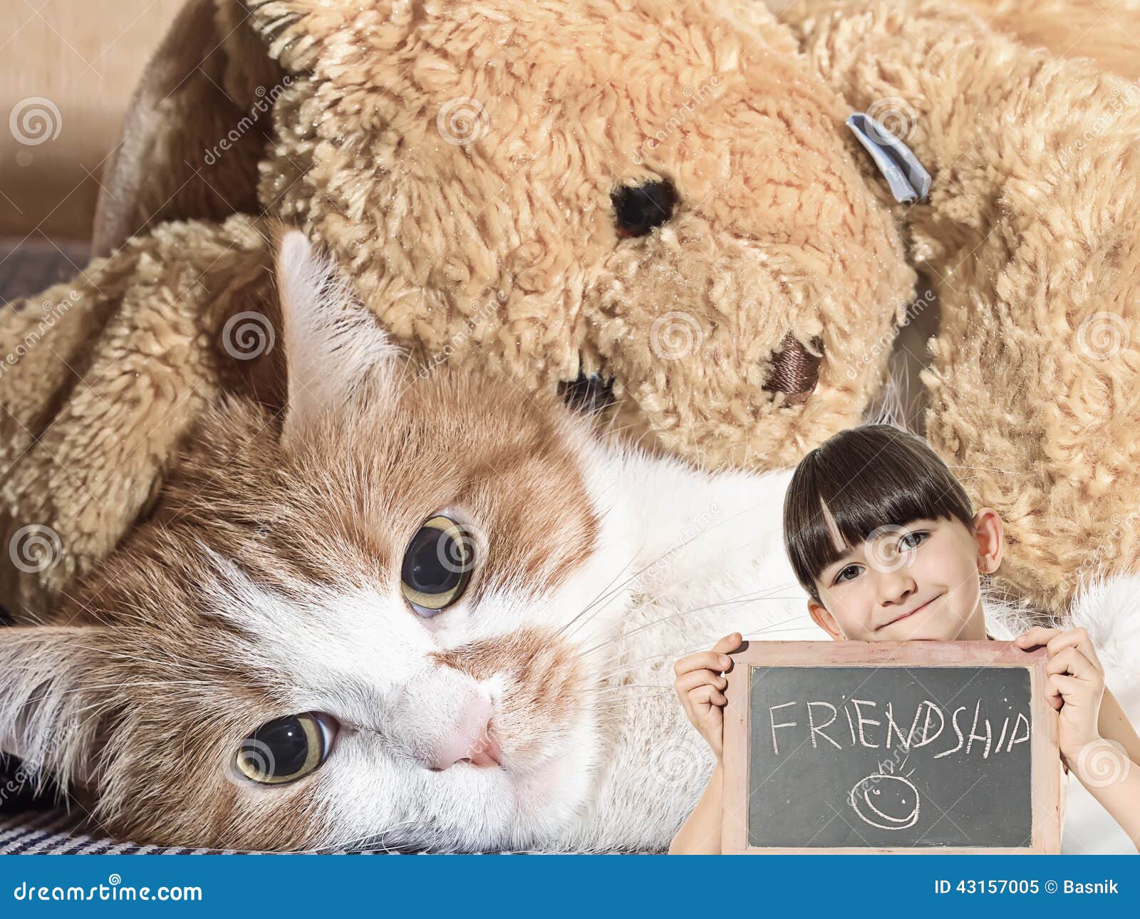 Gato triste imagen de archivo. Imagen de casero, felino - 43157005