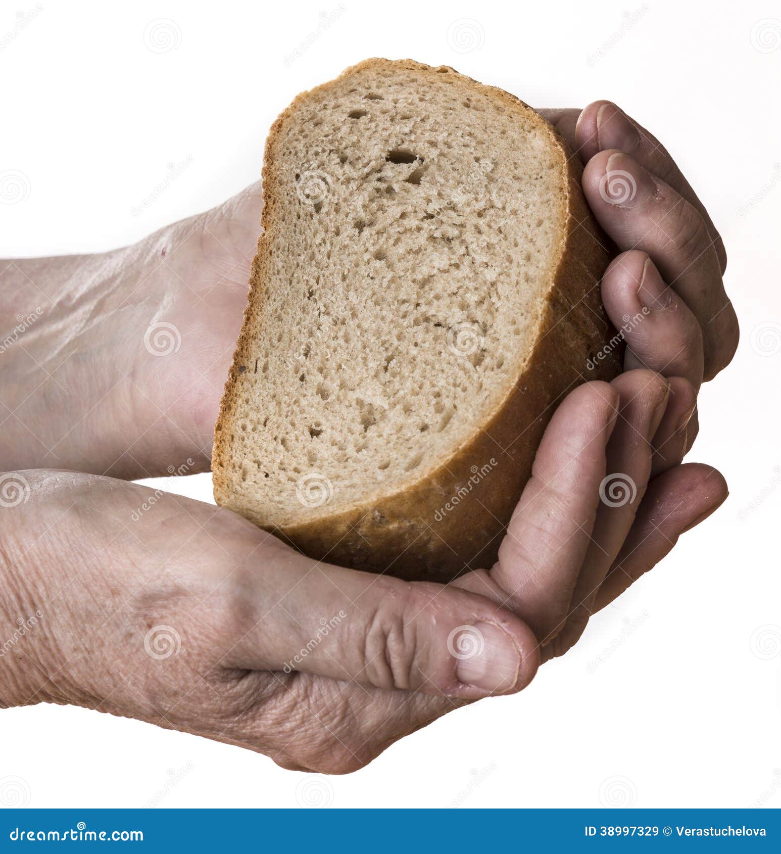 Gato viejo con pan imagen de archivo. Imagen de cuidado - 38997329