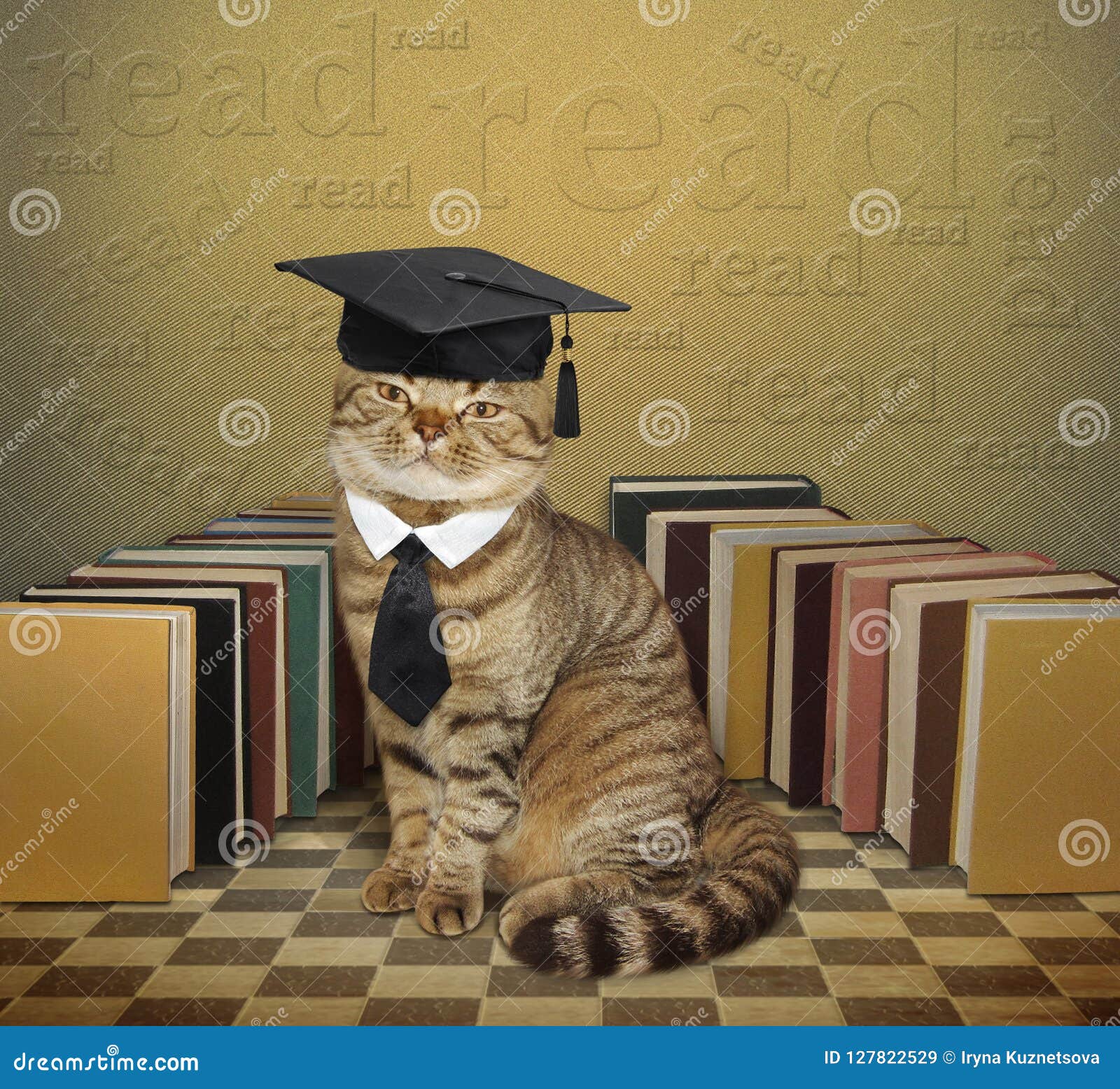 Gato y libros imagen de archivo. Imagen de collar, textbook - 127822529