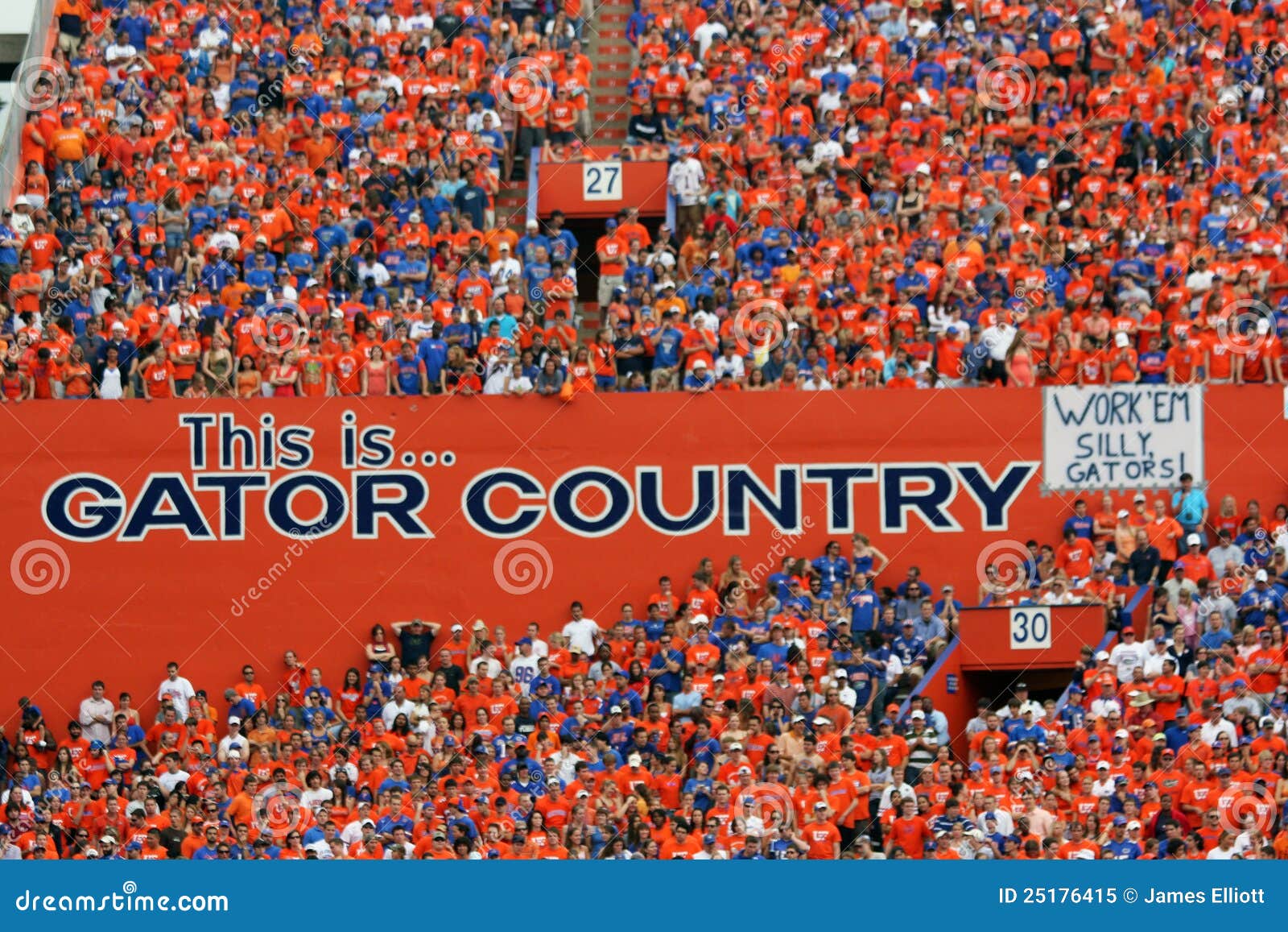 Gator Country editorial image. Image of gator, fans, repties - 25176415