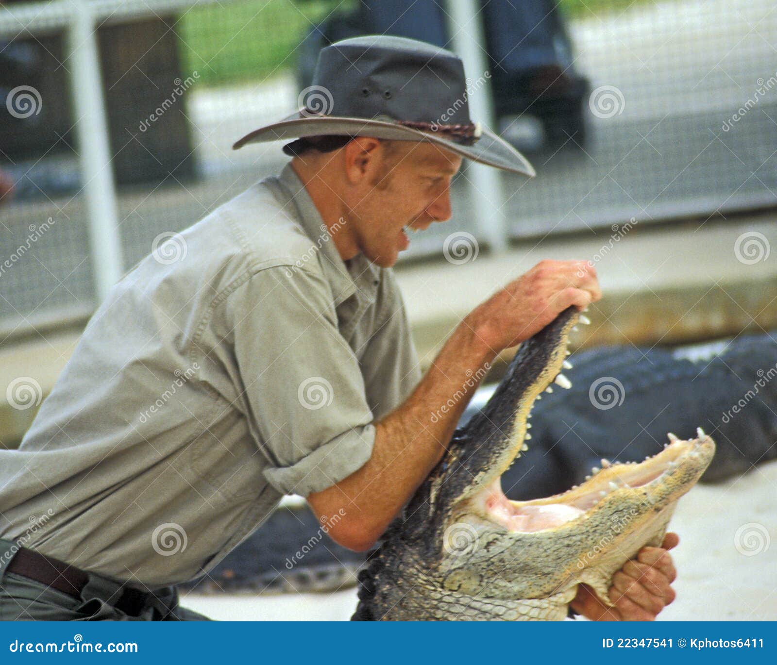 Gatorland - El Hombre Lucha Aligator Foto editorial - Imagen de abierto ...