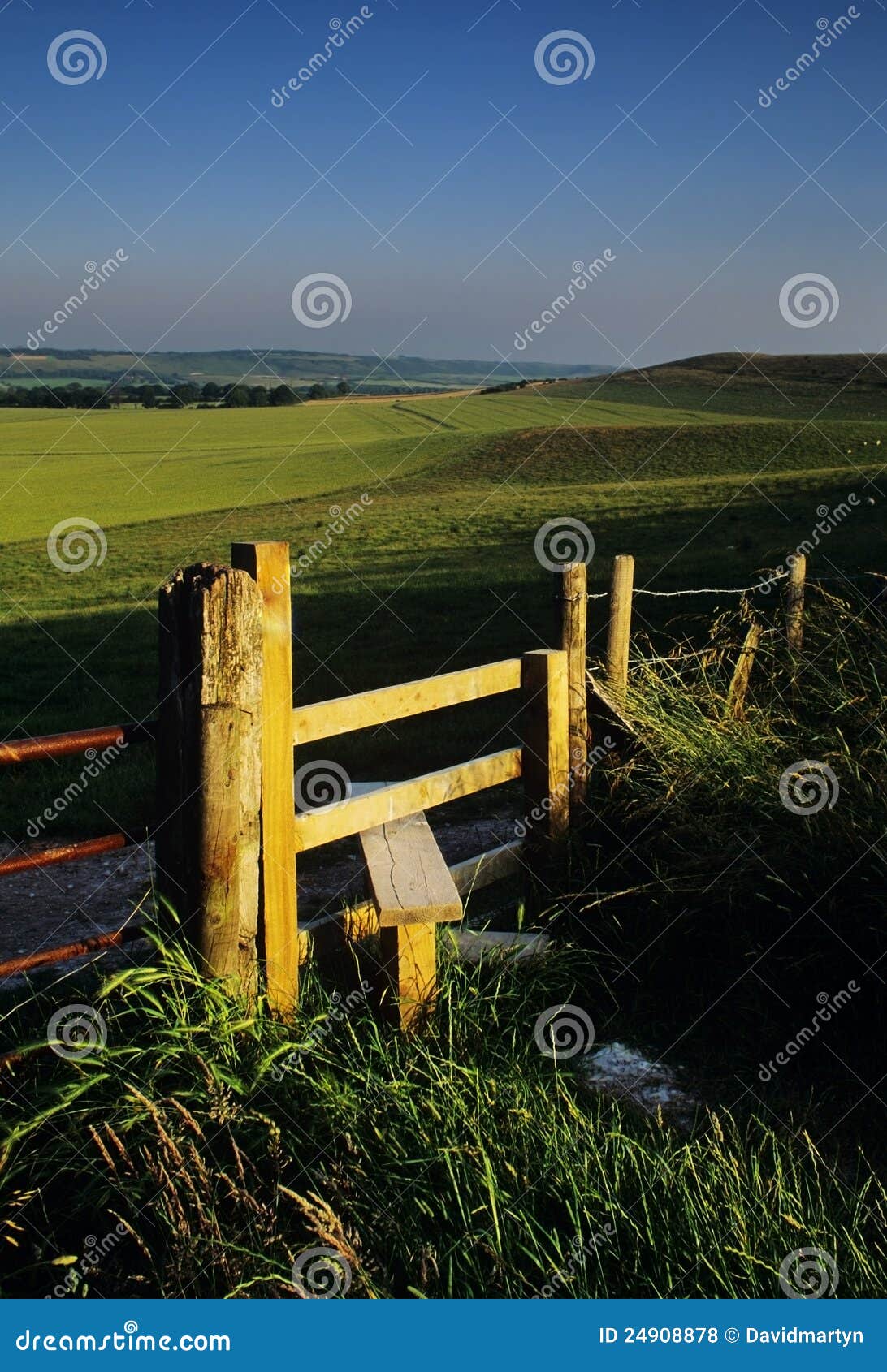 Gatter stockfoto. Bild von gatter, wald, hügel, land - 24908878