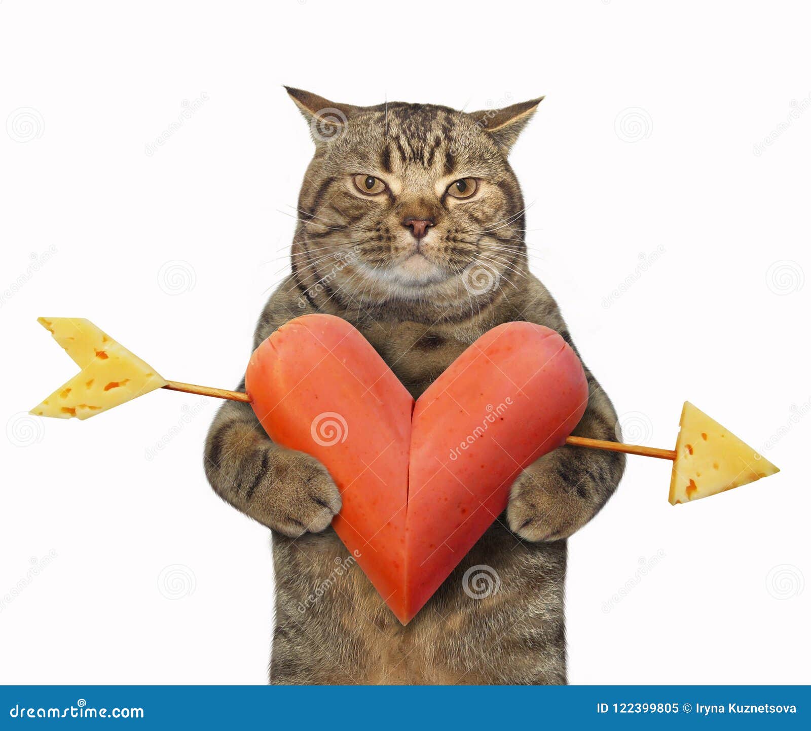Gatto Con Un Cuore 3 Della Salsiccia Immagine Stock - Immagine di cuore ...