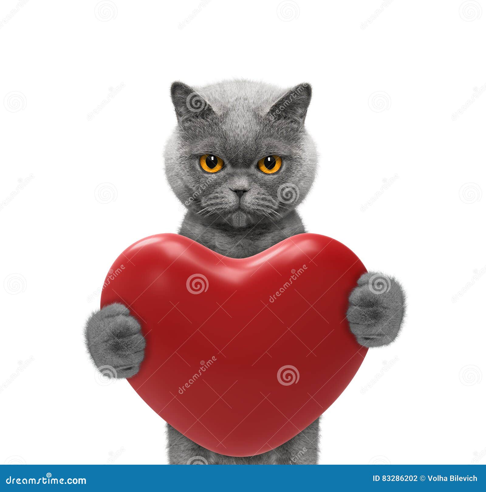 Gatto Grazioso Che Tiene Un Cuore Fotografia Stock - Immagine di scheda ...