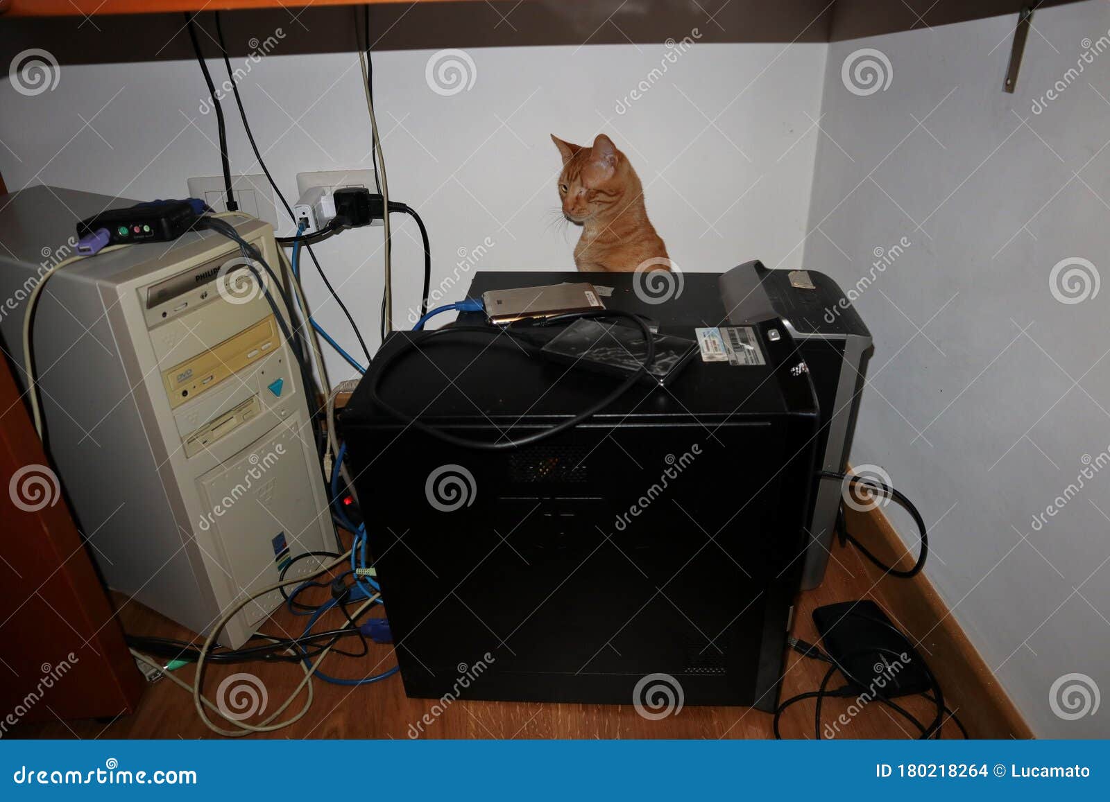Gatto tra computers stock photo. Image of computers - 180218264