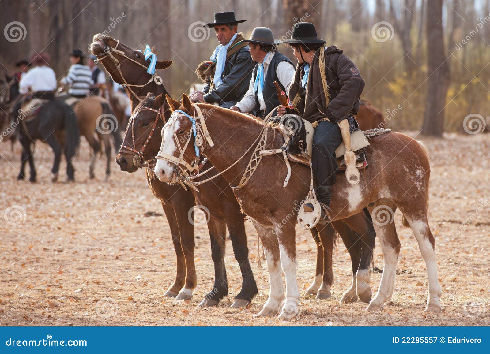 Gauchos Riding a Horse in Exhibition Editorial Photography - Image of ...