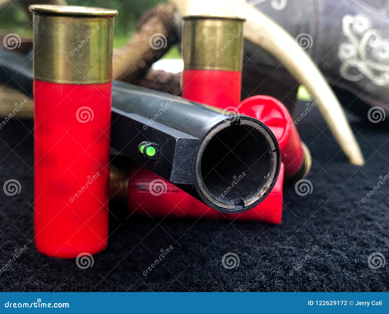 12 Gauge Shotgun and Shells Stock Photo - Image of powerful, shells ...
