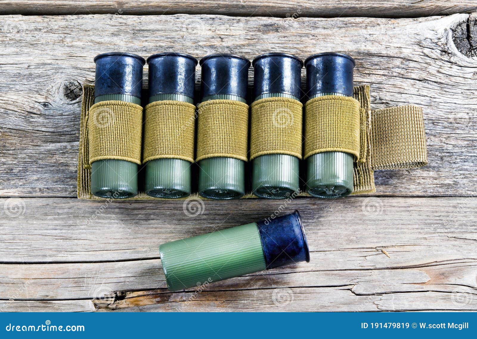 Shotgun Shells with Tactical Shell Holder Stock Image - Image of ...