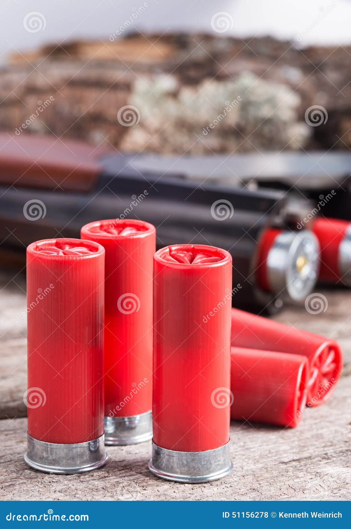12 Gauge Shotgun Shells Royalty-Free Stock Photography | CartoonDealer ...