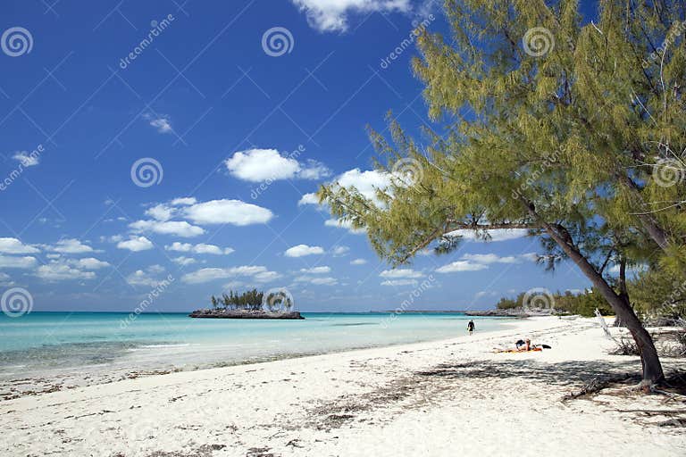Gaulding Cay Snorkeler stock photo. Image of eleuthera - 8714530