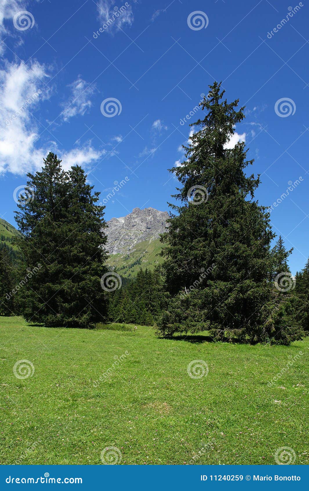 Gaver stock image. Image of holiday, ramble, plai, lawn - 11240259