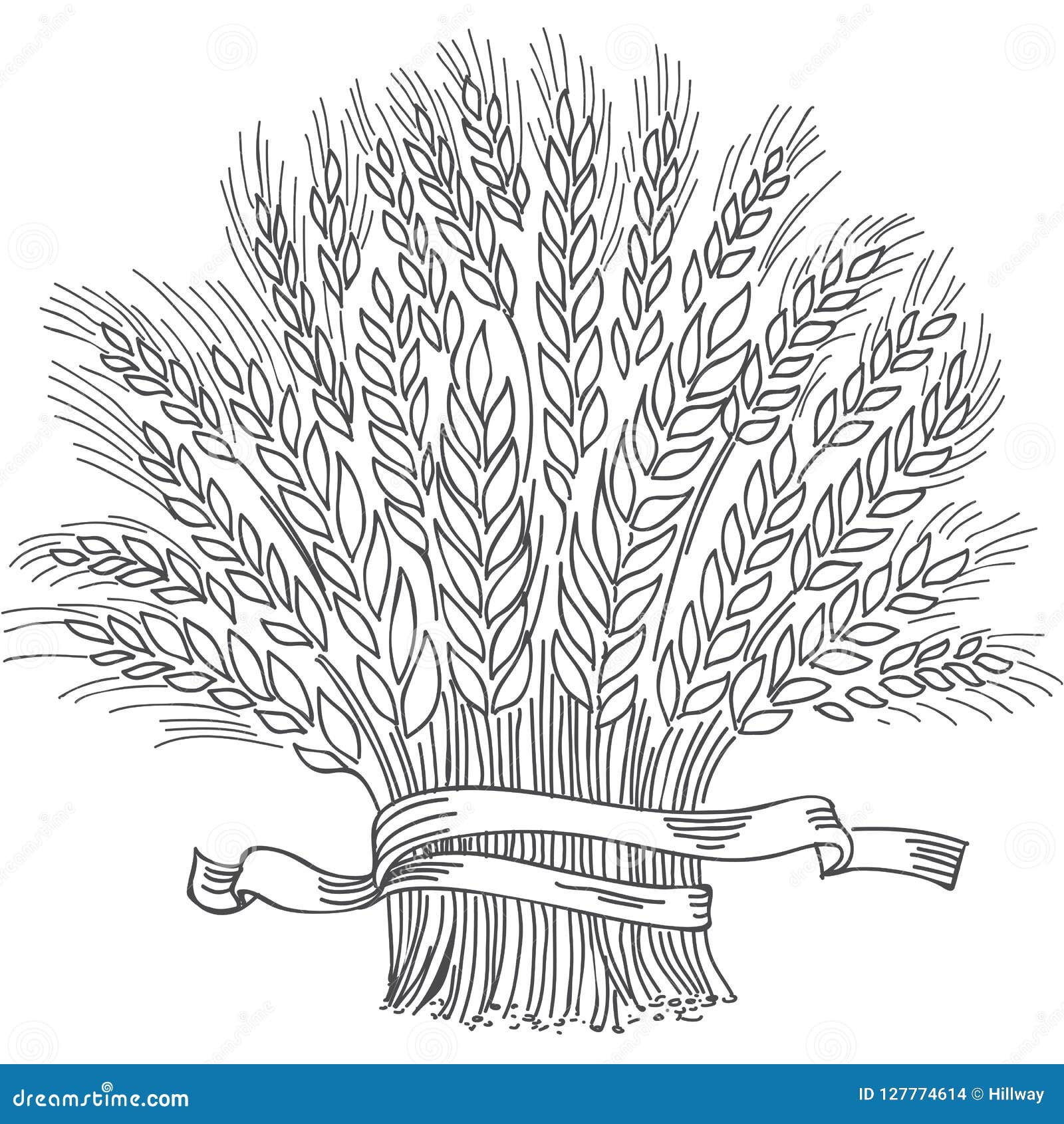 Dibujo De Gavilla De Arroz Para Colorear Dibujos Para Colorear | Porn ... Dibujo De Gavilla De Arroz Para Colorear Dibujos Para Colorear | Porn ...