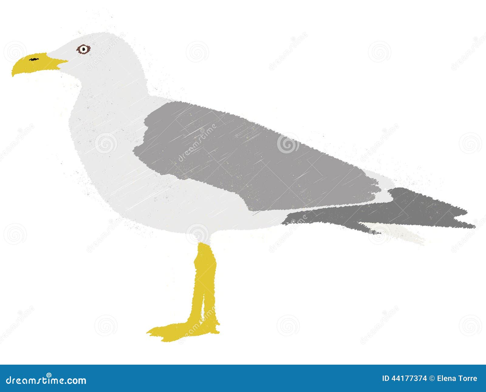 Gaviota ilustración del vector. Ilustración de fondo - 44177374