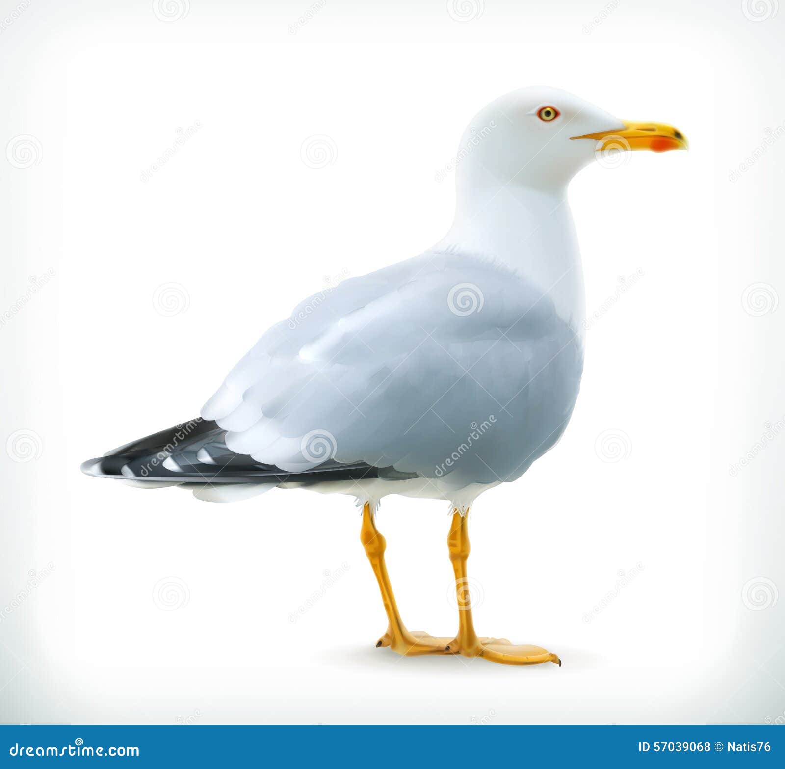 Gaviota, icono del vector ilustración del vector. Ilustración de vector ...