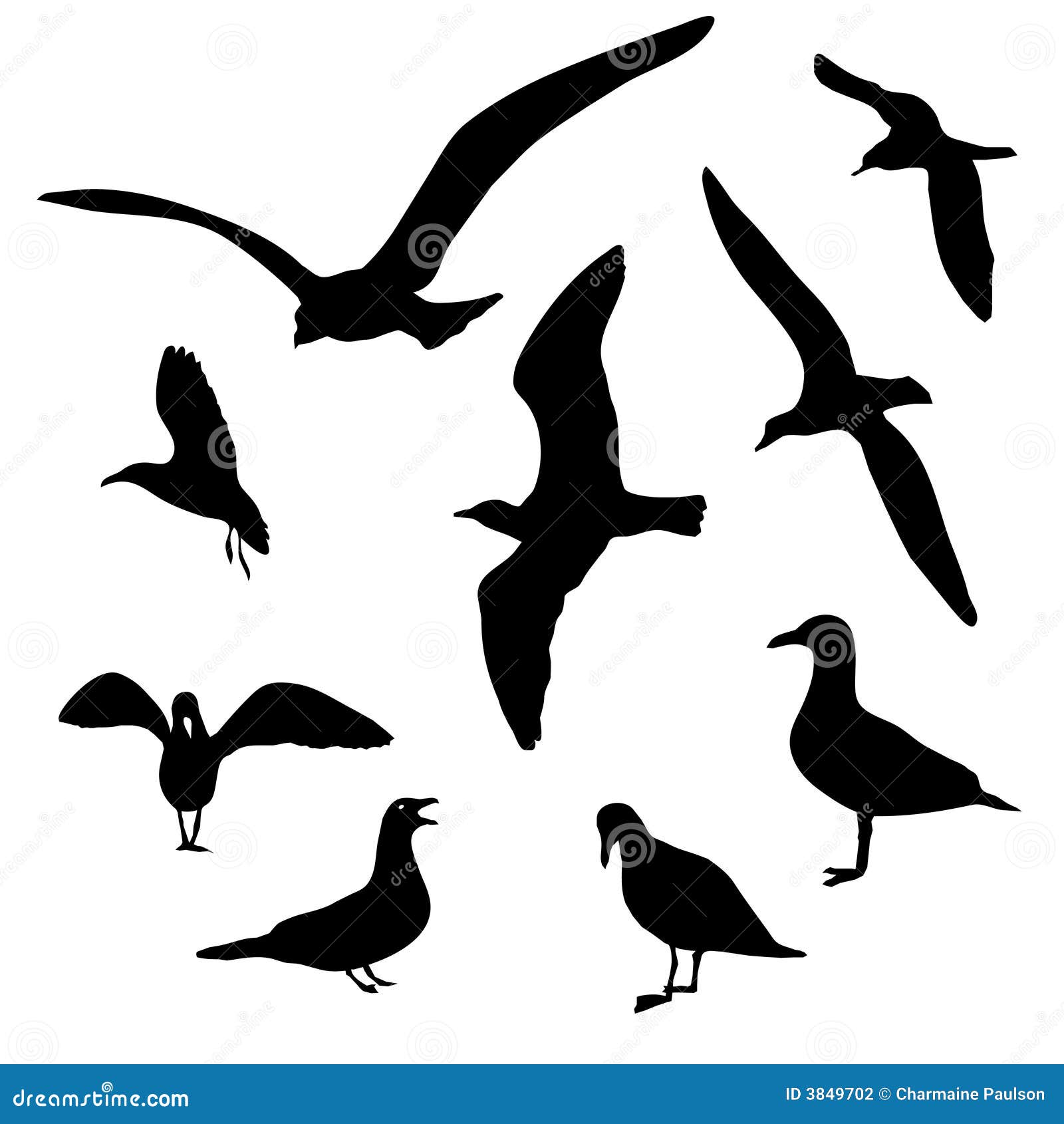 Gaviotas aisladas ilustración del vector. Ilustración de cubo - 3849702